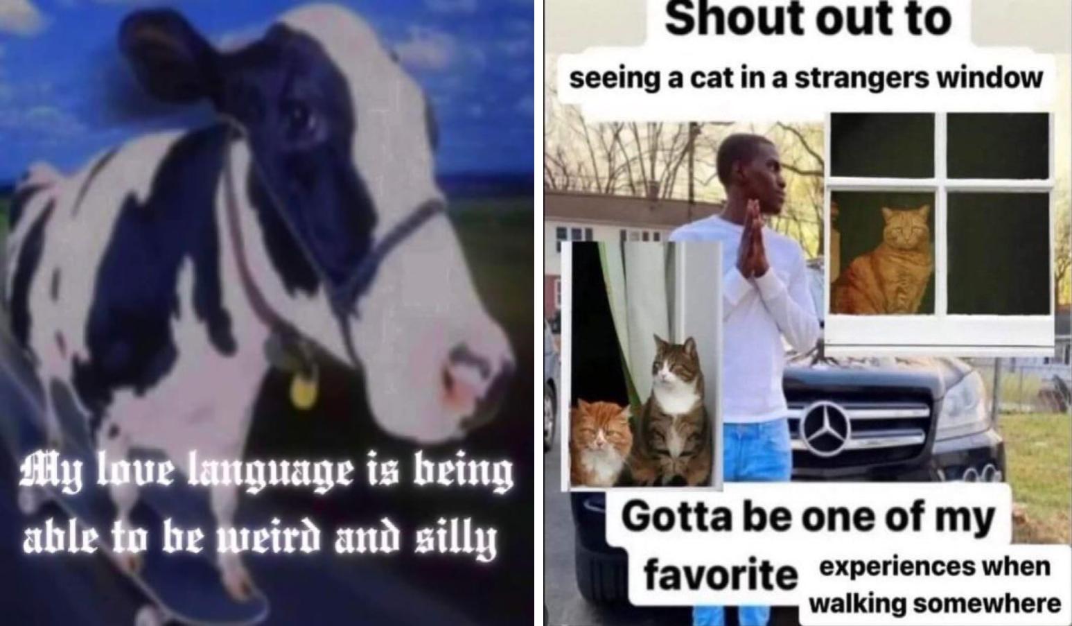 21 Respectful Memes That Anyone Can Find Charming | Know Your Meme