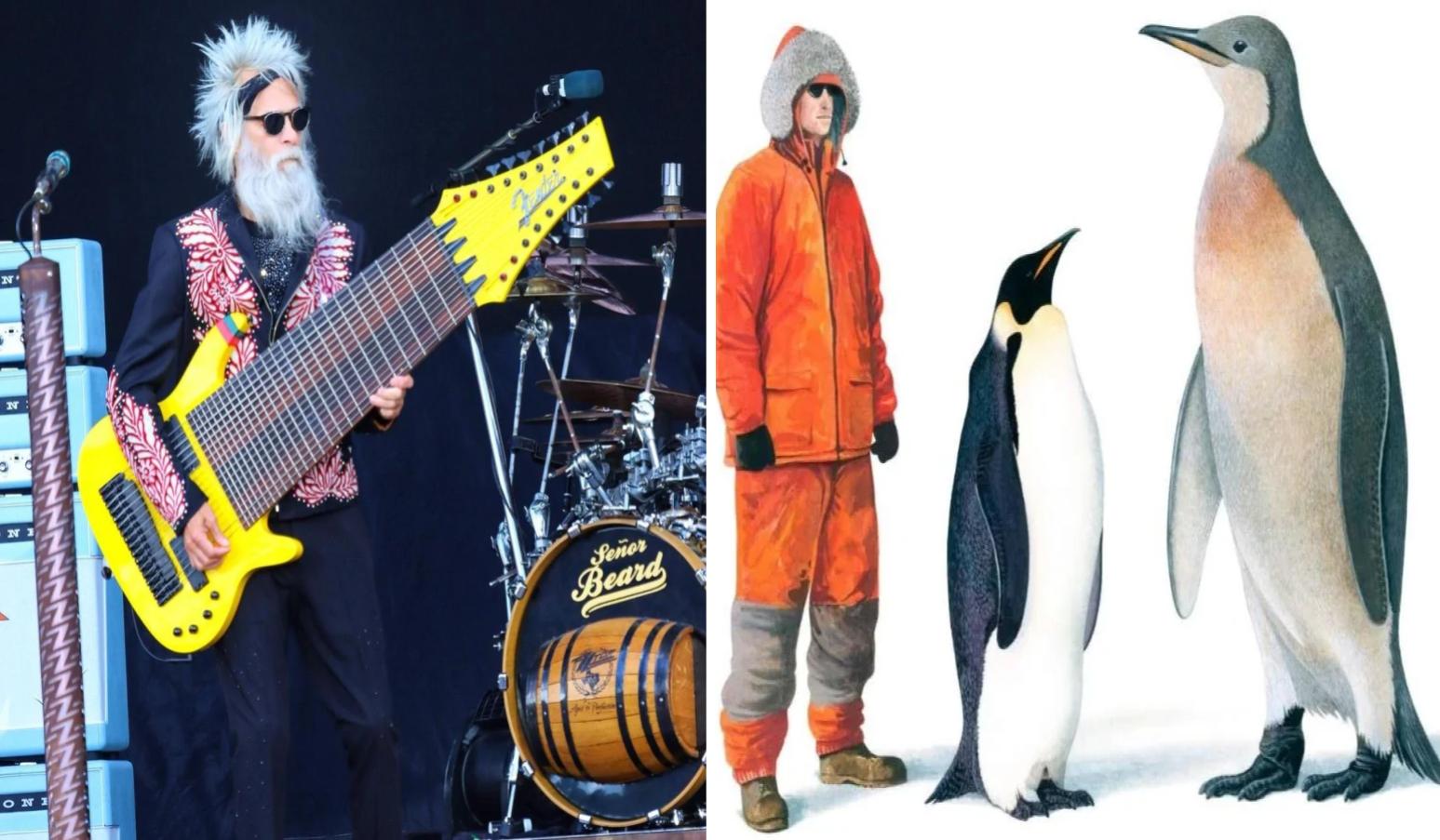 17 Absolute Units That Are Big, Beautiful And Happy To Be Here | Know ...