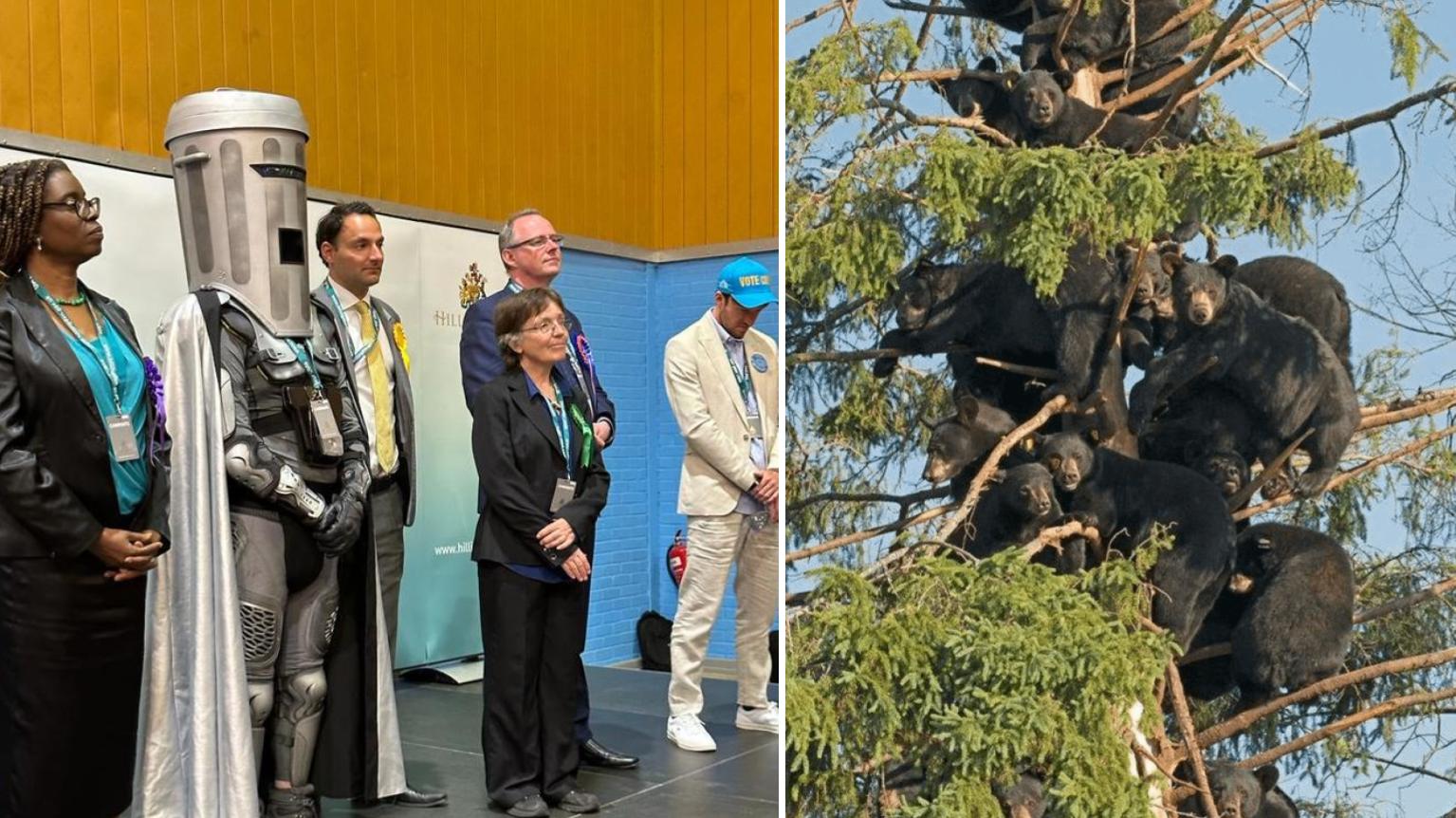 16 Photographs That Defy Any Attempts At Explanation | Know Your Meme