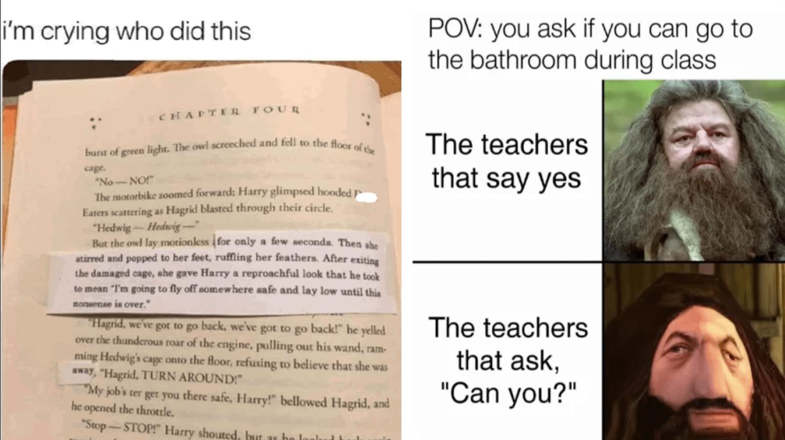 20 'Harry Potter' Memes To Temporarily Un-Muggle Yourself | Know Your Meme