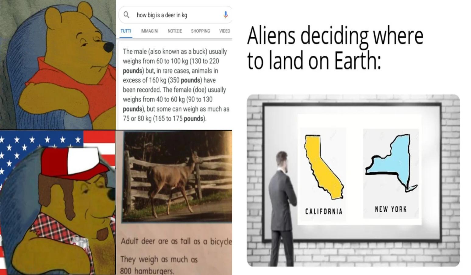 16 4th Of July Memes To Celebrate America's Birthday | Know Your Meme