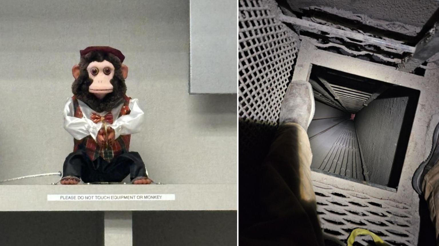 24 'Oddly Terrifying' Encounters Found In The Wild | Know Your Meme