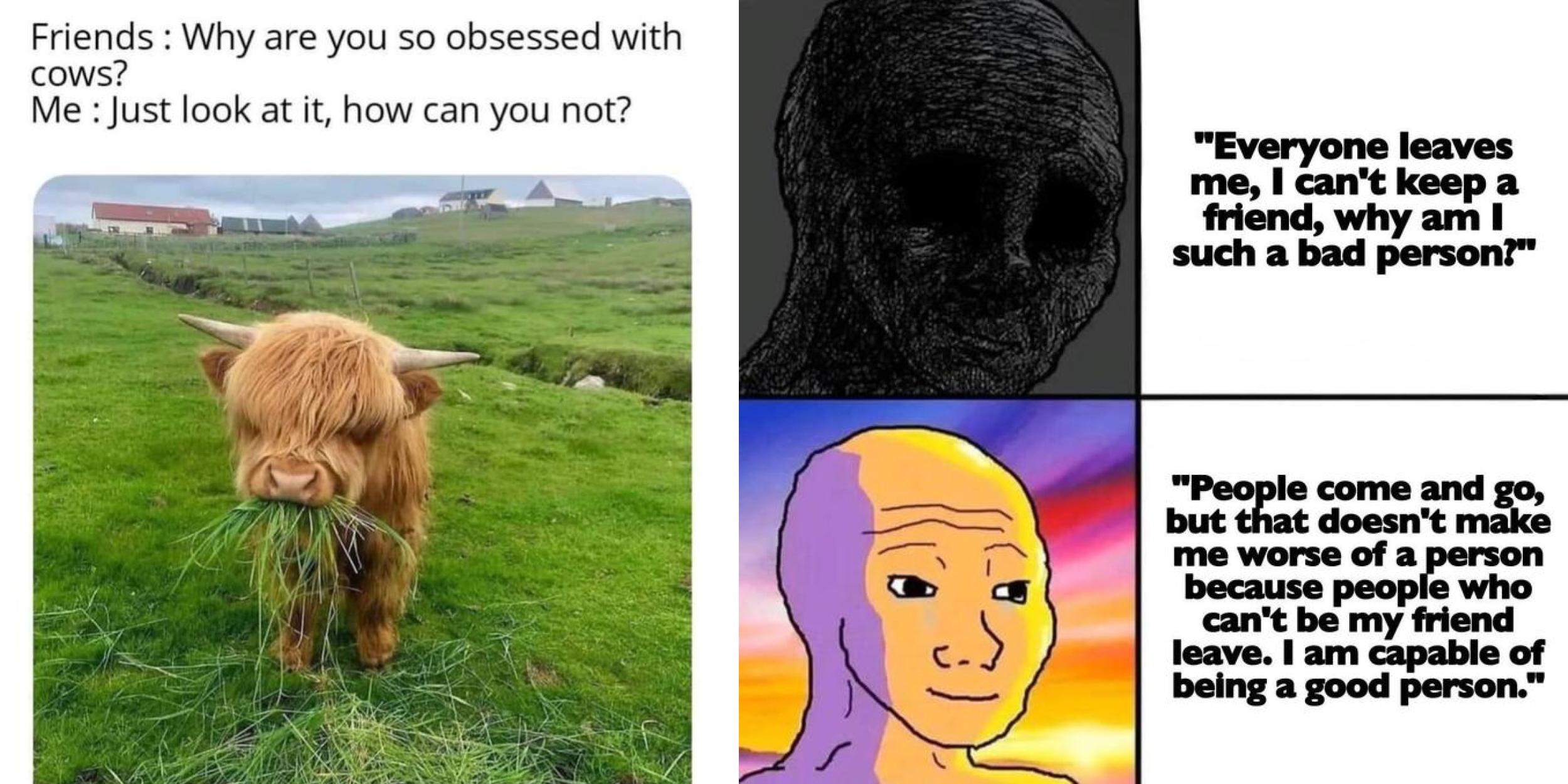 26 Wholesome Memes Filled With Positive Vibes | Know Your Meme