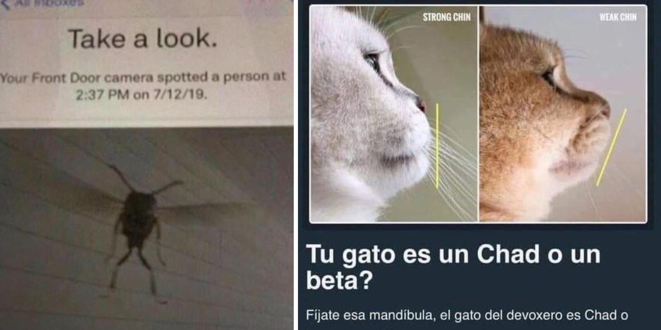 19 Legendary Jokes That Have Ascended To 'Comedy Heaven' | Know Your Meme