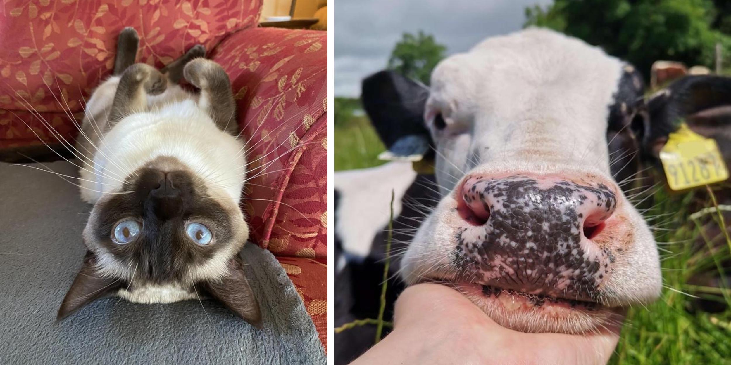 25 Adorably Blessed Photos To Cleanse Your Timeline | Know Your Meme