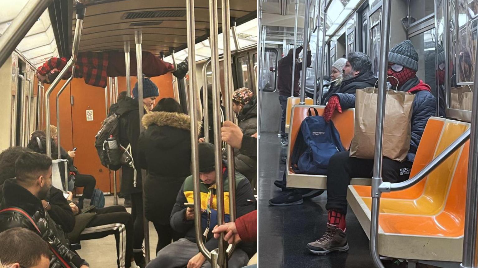 15 Odd 'Subway Creatures' Spotted In The Wild | Know Your Meme