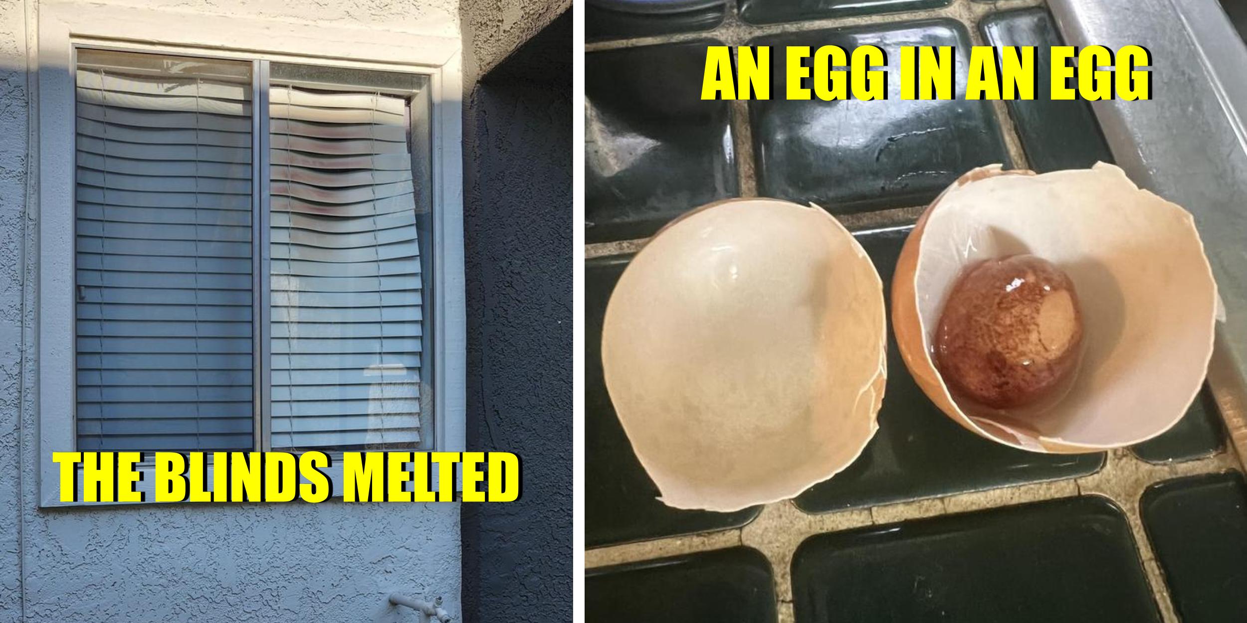 25 Utterly Bizarre Photos From Every Corner Of The World | Know Your Meme