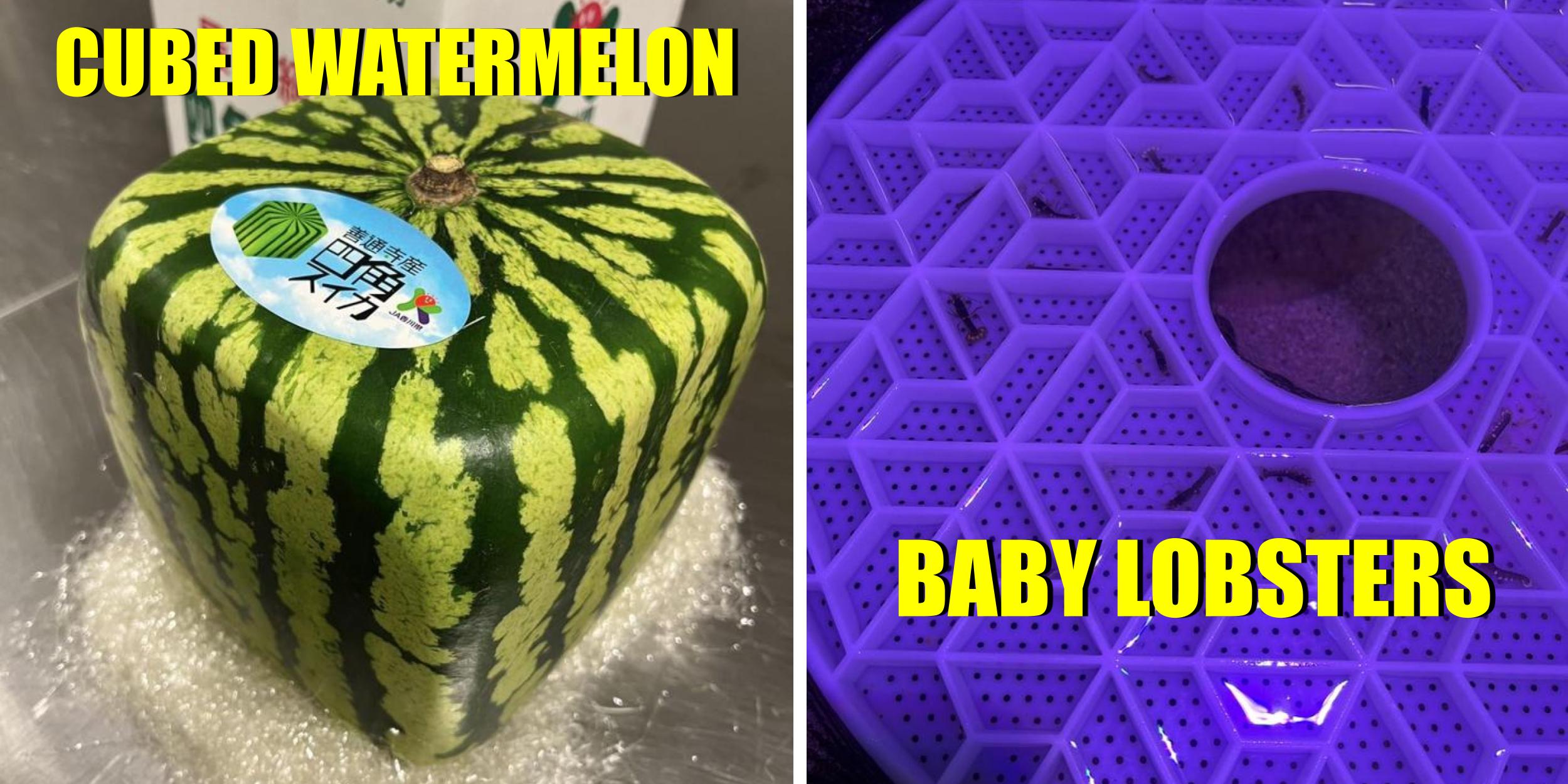 You'll Be Mildly Interested By These 25 Photos | Know Your Meme