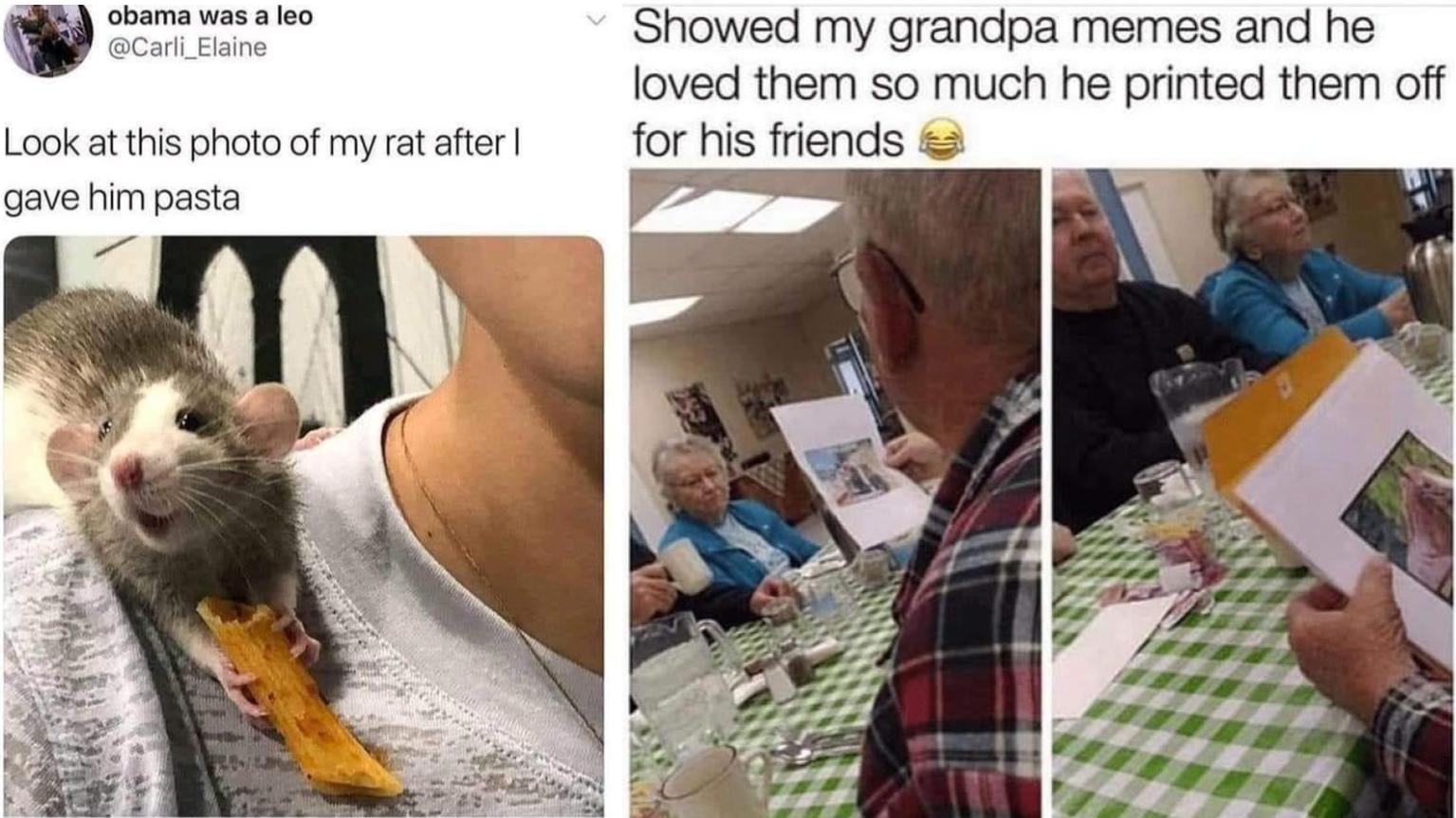 20 Wholesome Memes To Restore Your Inner Zen And Bring Down Your Blood ...