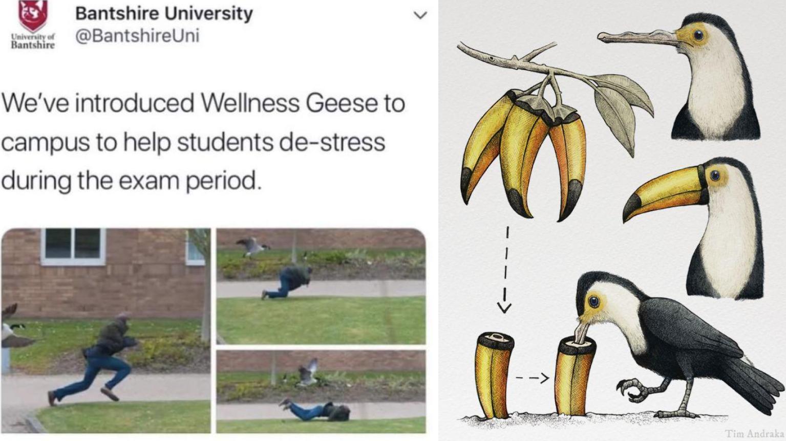 25 Images That Evoke A Feeling Of 'Thanks, I Hate It' | Know Your Meme