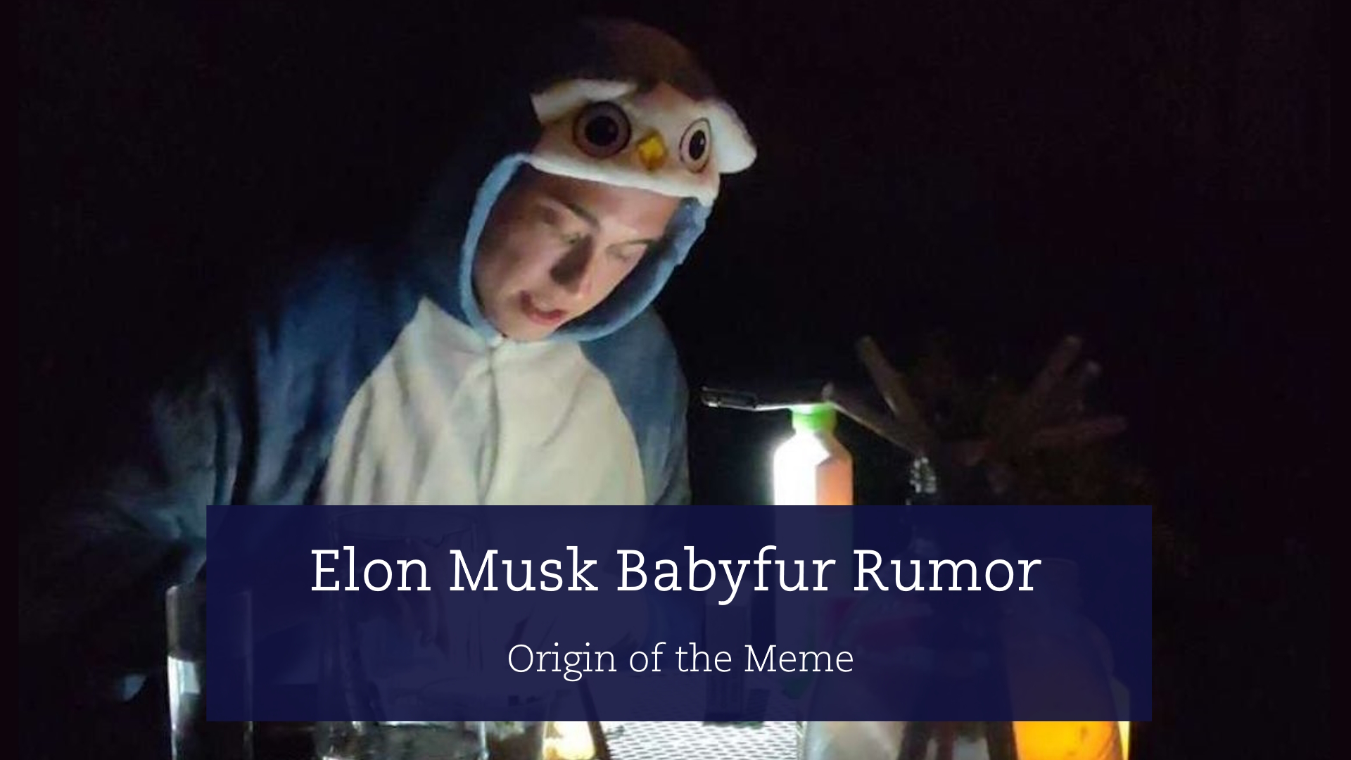 Where Do Memes About Elon Musk Being Into Furry Roleplay Come From, And ...