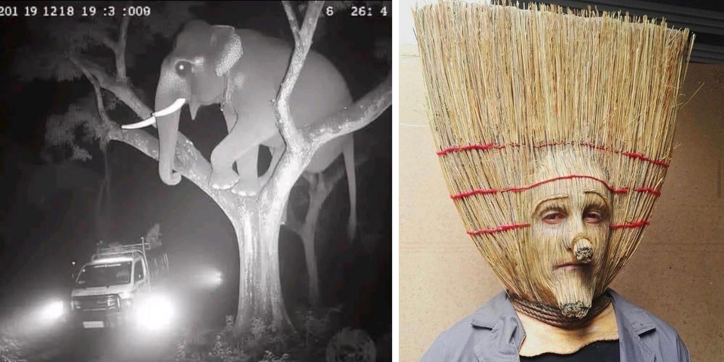 25 Blursed Images Emitting Weird Vibes | Know Your Meme