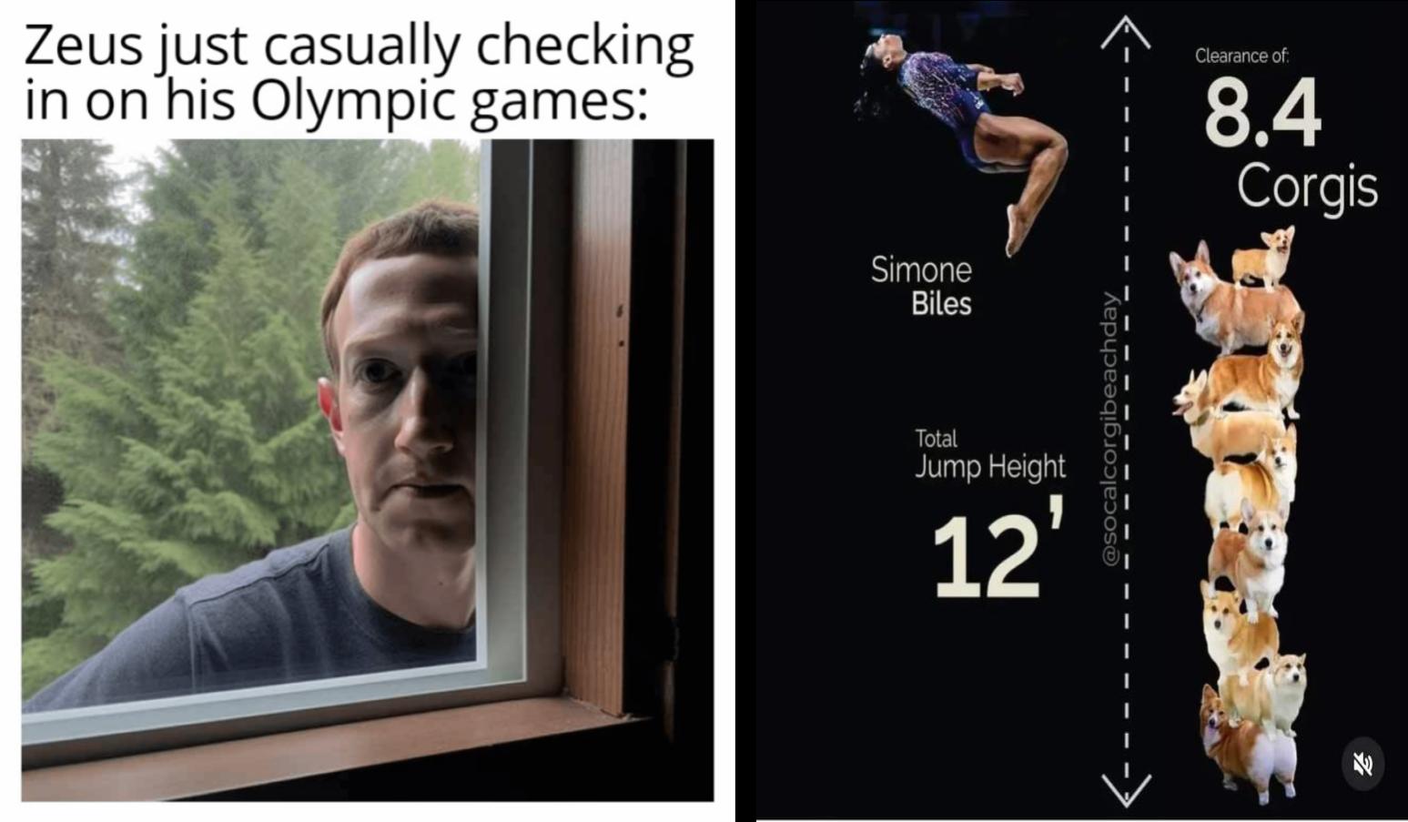 24 Paris 2024 Olympics Memes To Look At While Not Exercising | Know ...