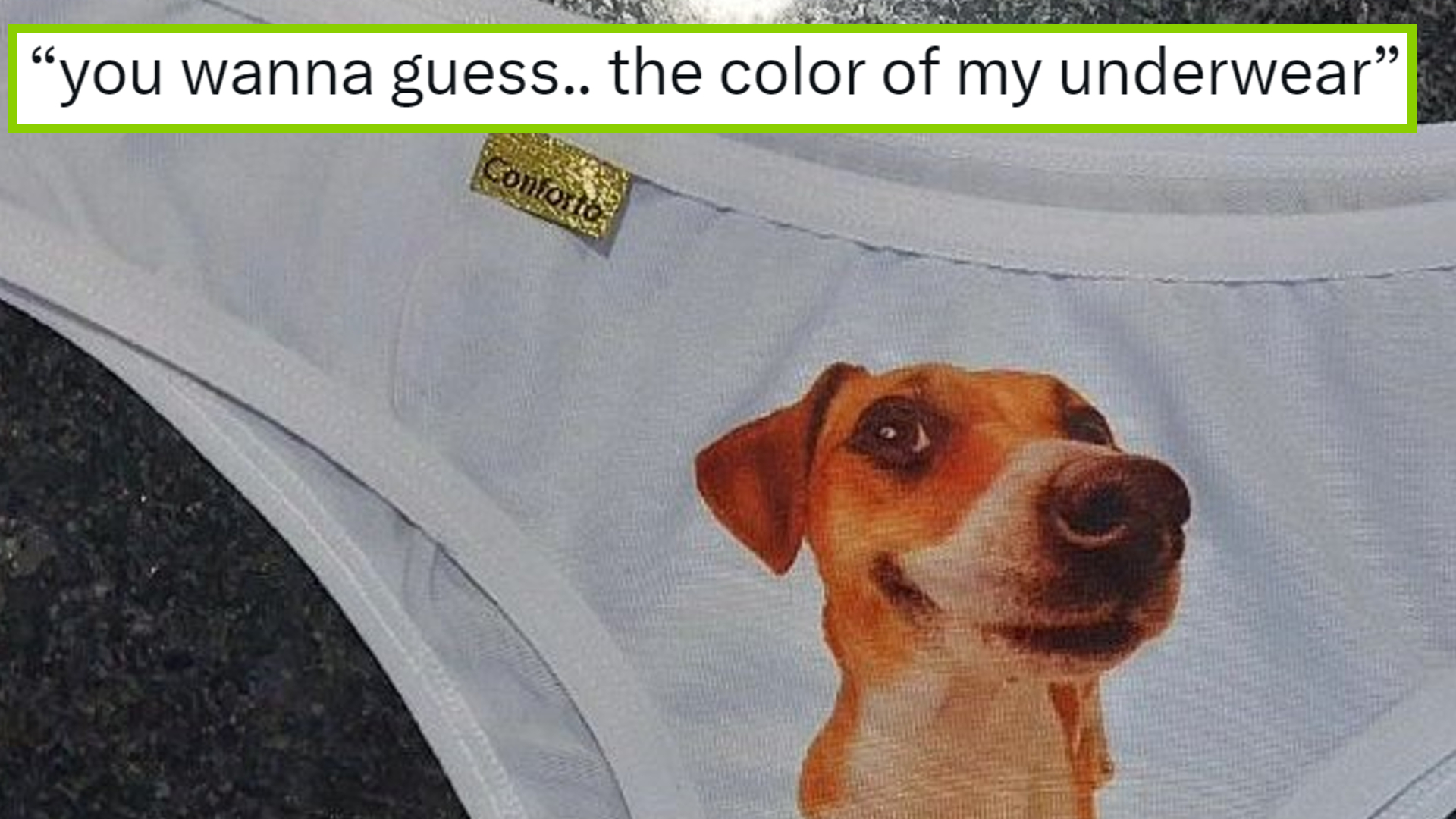 What Is The 'You Wanna Guess The Color Of My Underwear' Meme? The Viral Charli X... | Know Your Meme