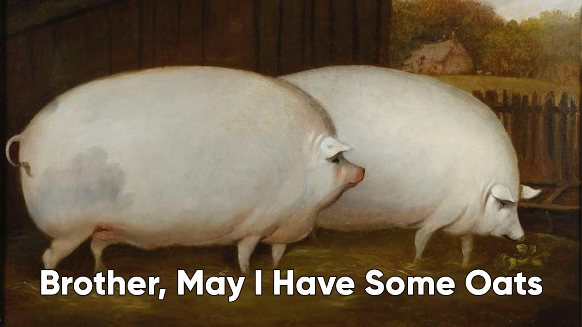 What Does Brother May I Have Some Oats Mean The Meme Of Two Hungry