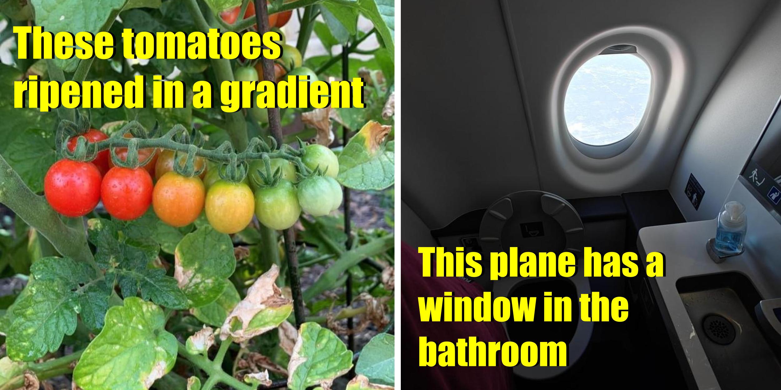 30 Mildly Interesting Moments Intriguing People Today | Know Your Meme