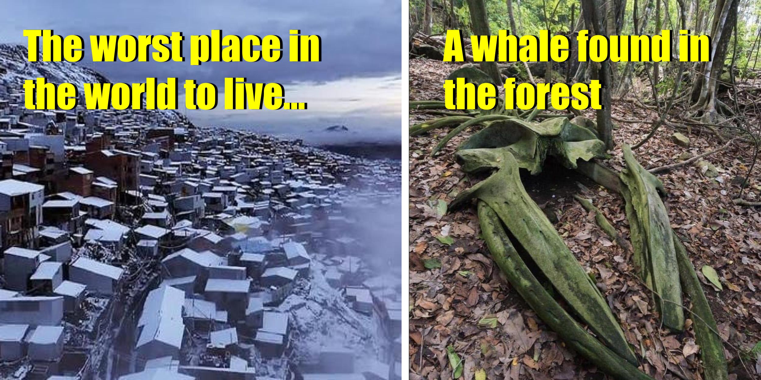 25 Super Interesting Photos Worth Spending Your Lunch Hour On | Know ...