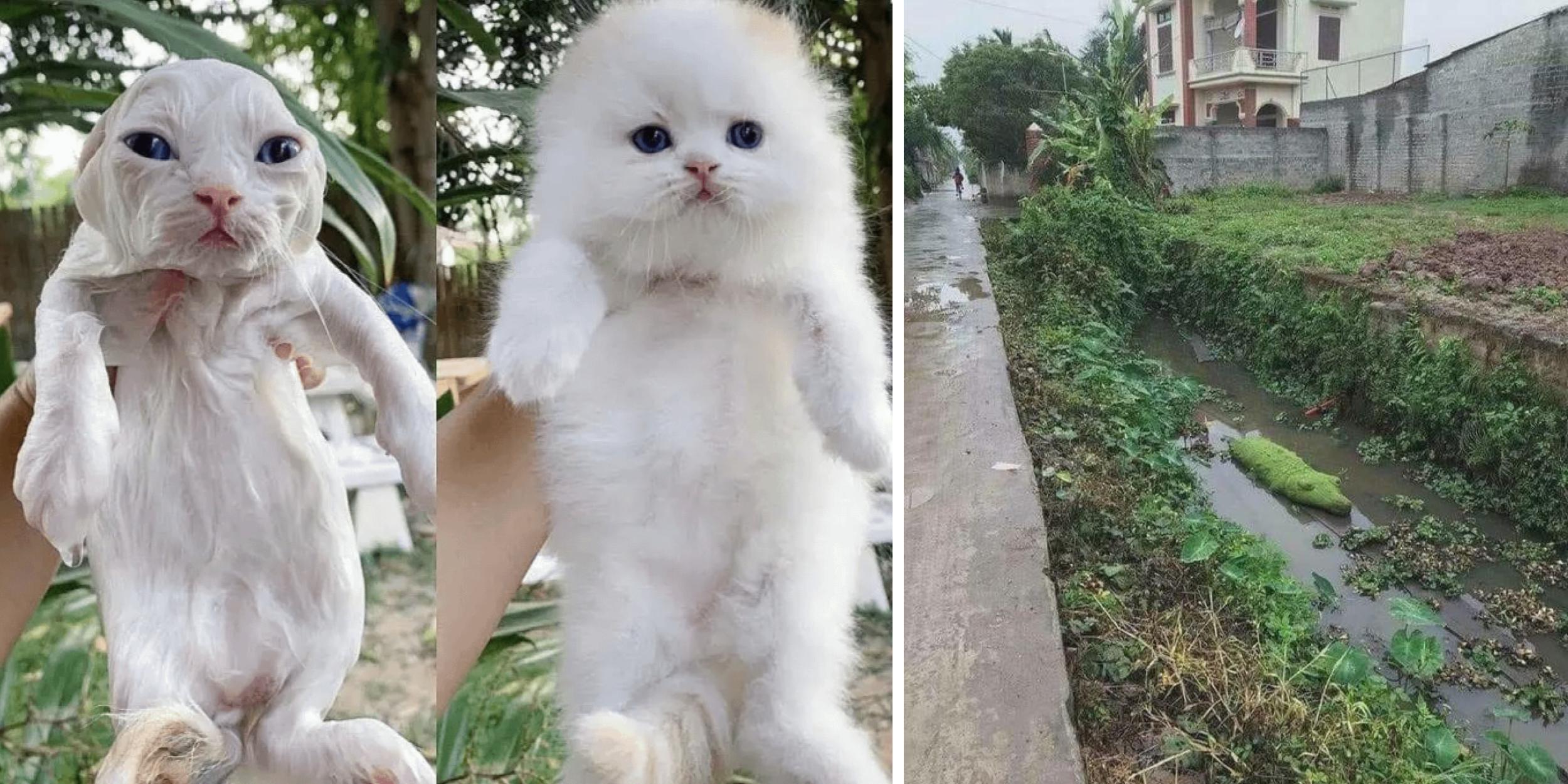 25 Blessed Images For A Total Feed Refresh | Know Your Meme