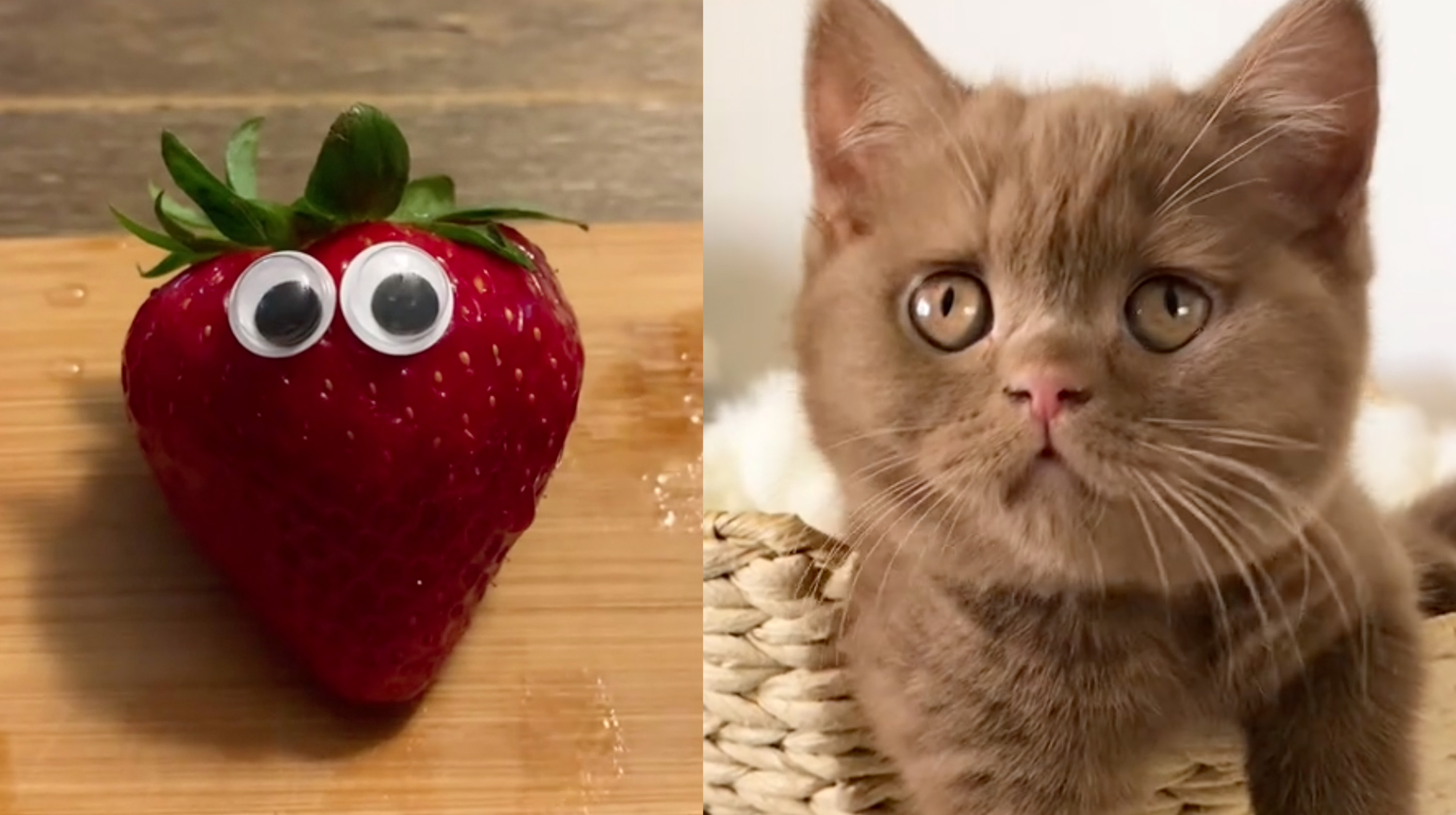 What's The 'Oh Look a Strawberry' Video? The Original Video That ...