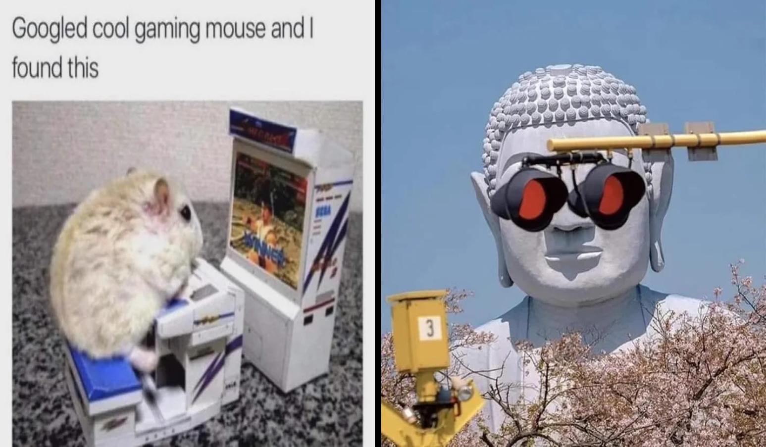 23 Blessed And Cursed (Or 'Blursed') Images To Peruse | Know Your Meme