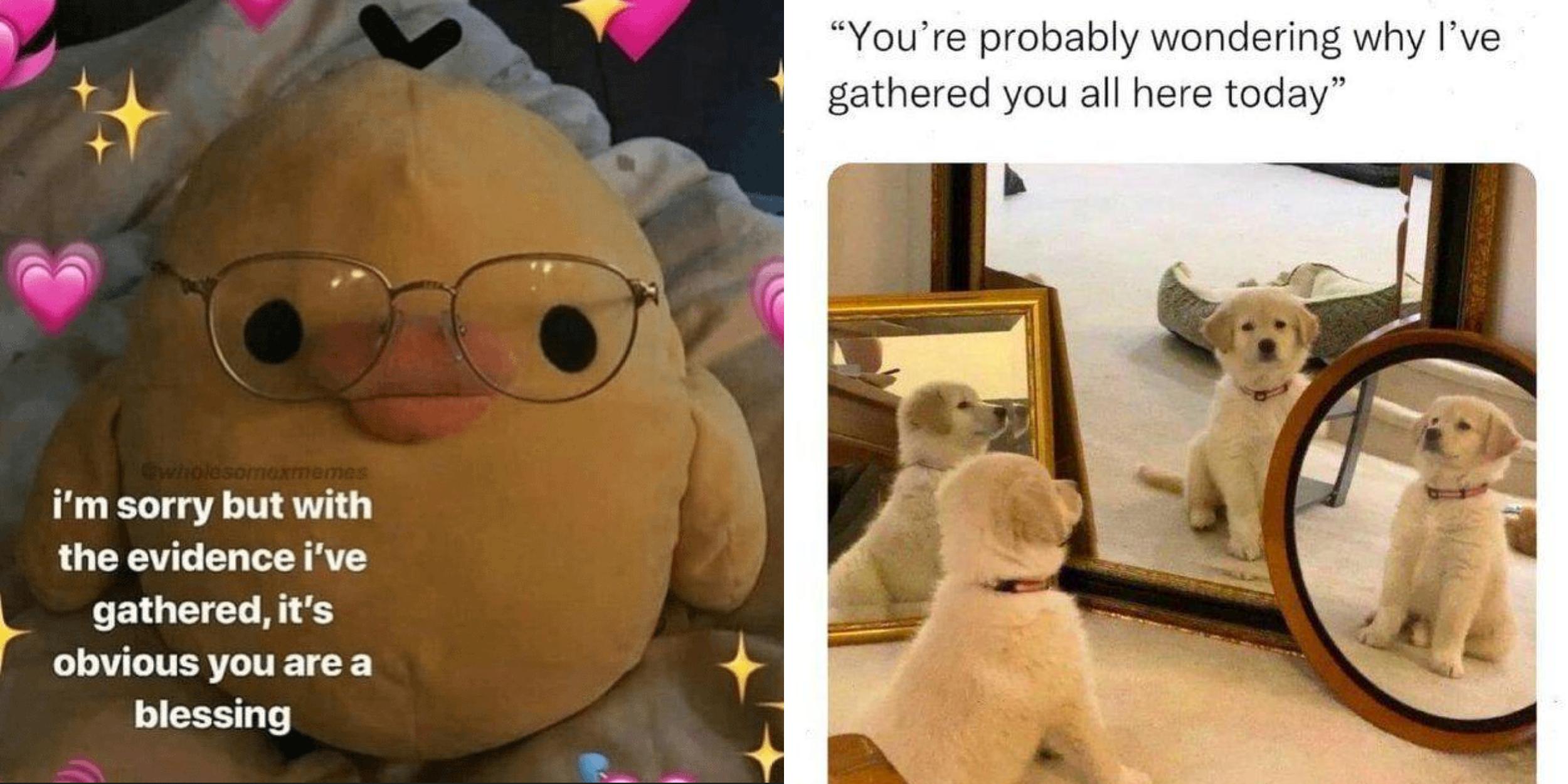 25 Heartwarming Memes Capable Of Making Anyone Smile | Know Your Meme