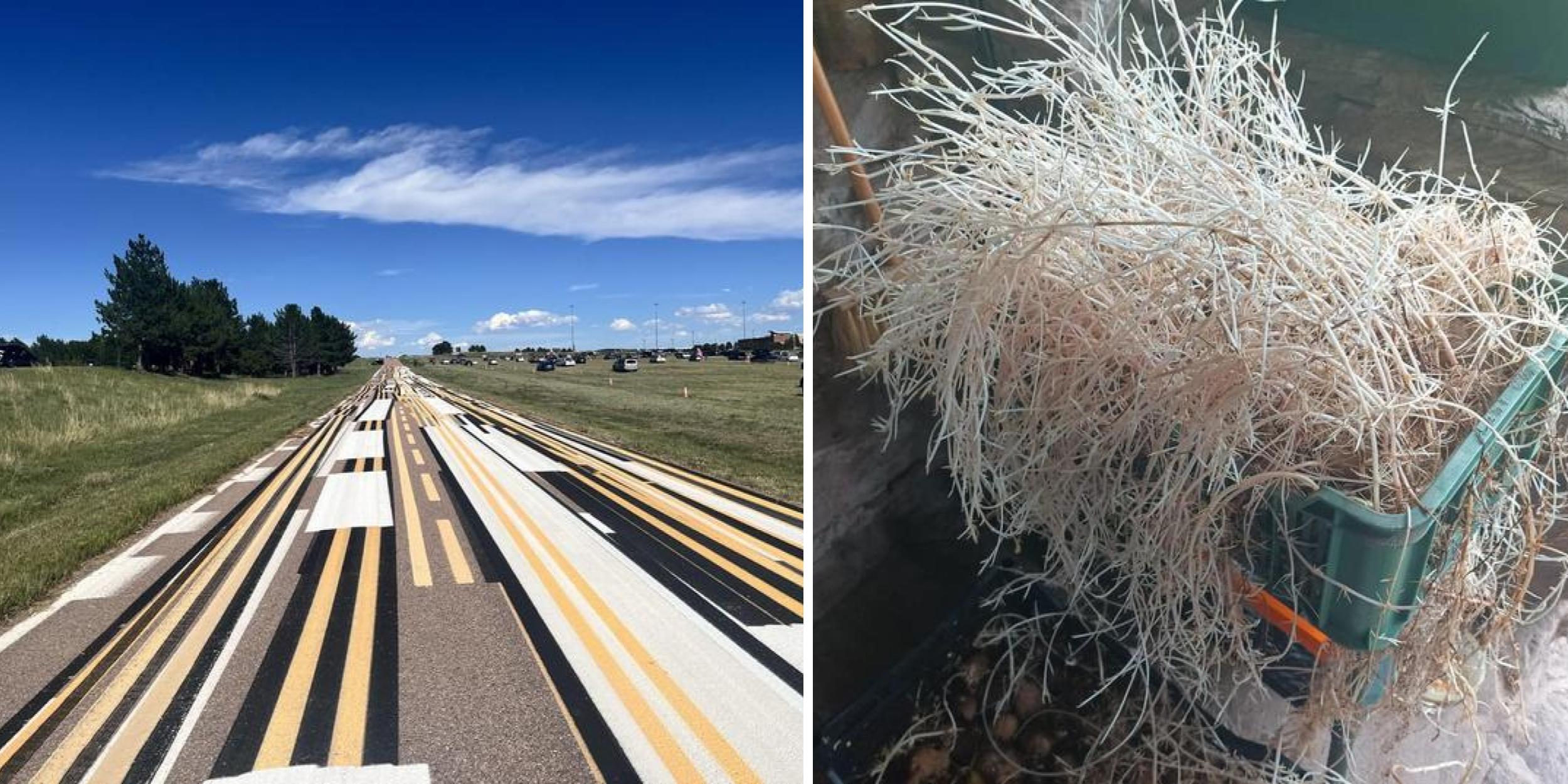 25 'Mildly Interesting' Photos Everyone Should Gander At | Know Your Meme