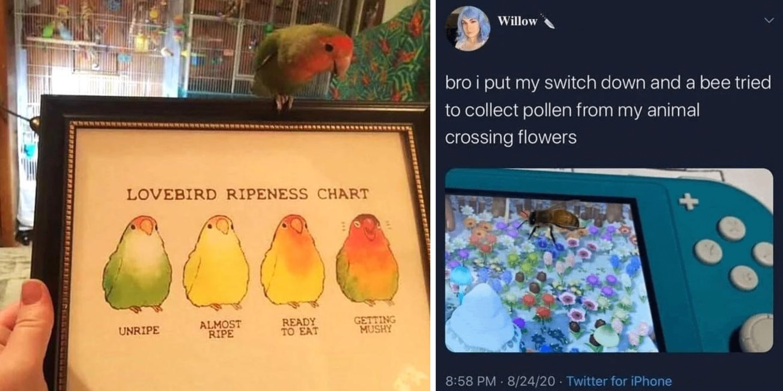 25 Truly Blessed Images For Everyone's Viewing Pleasure | Know Your Meme
