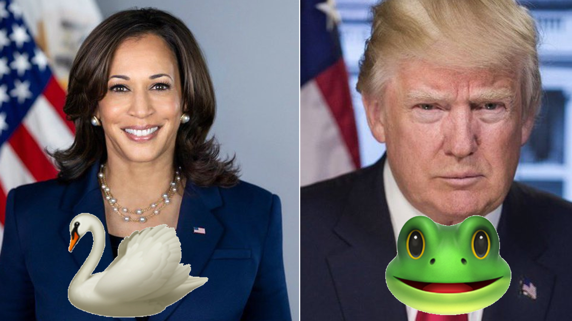 What Does 'You Pretty, He Ugly, You Swan, He Frog' Mean? The Viral Meme ...