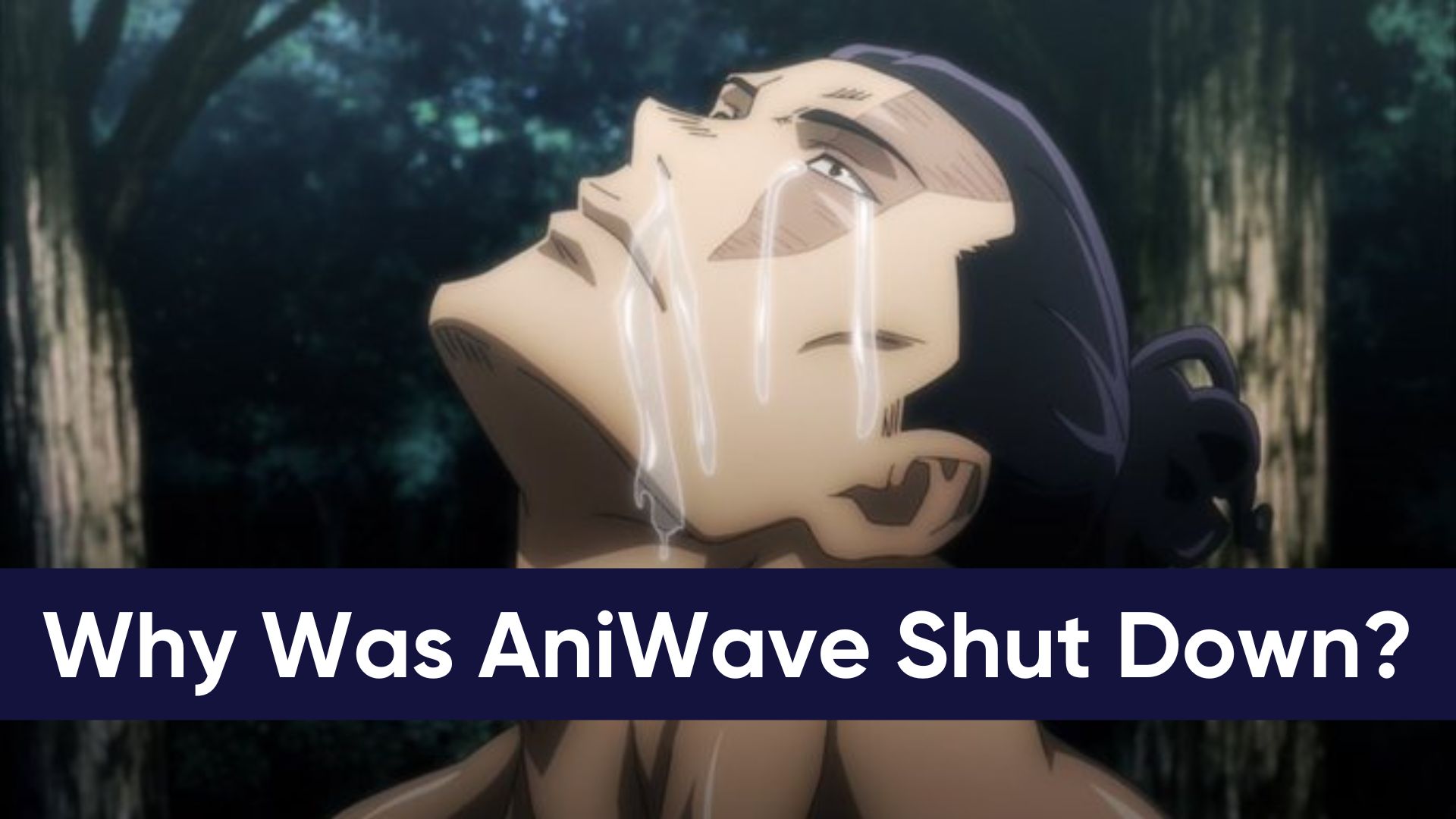 Why Was AniWave Shut Down? The 2024 Anime Piracy Sites Shutdown ...