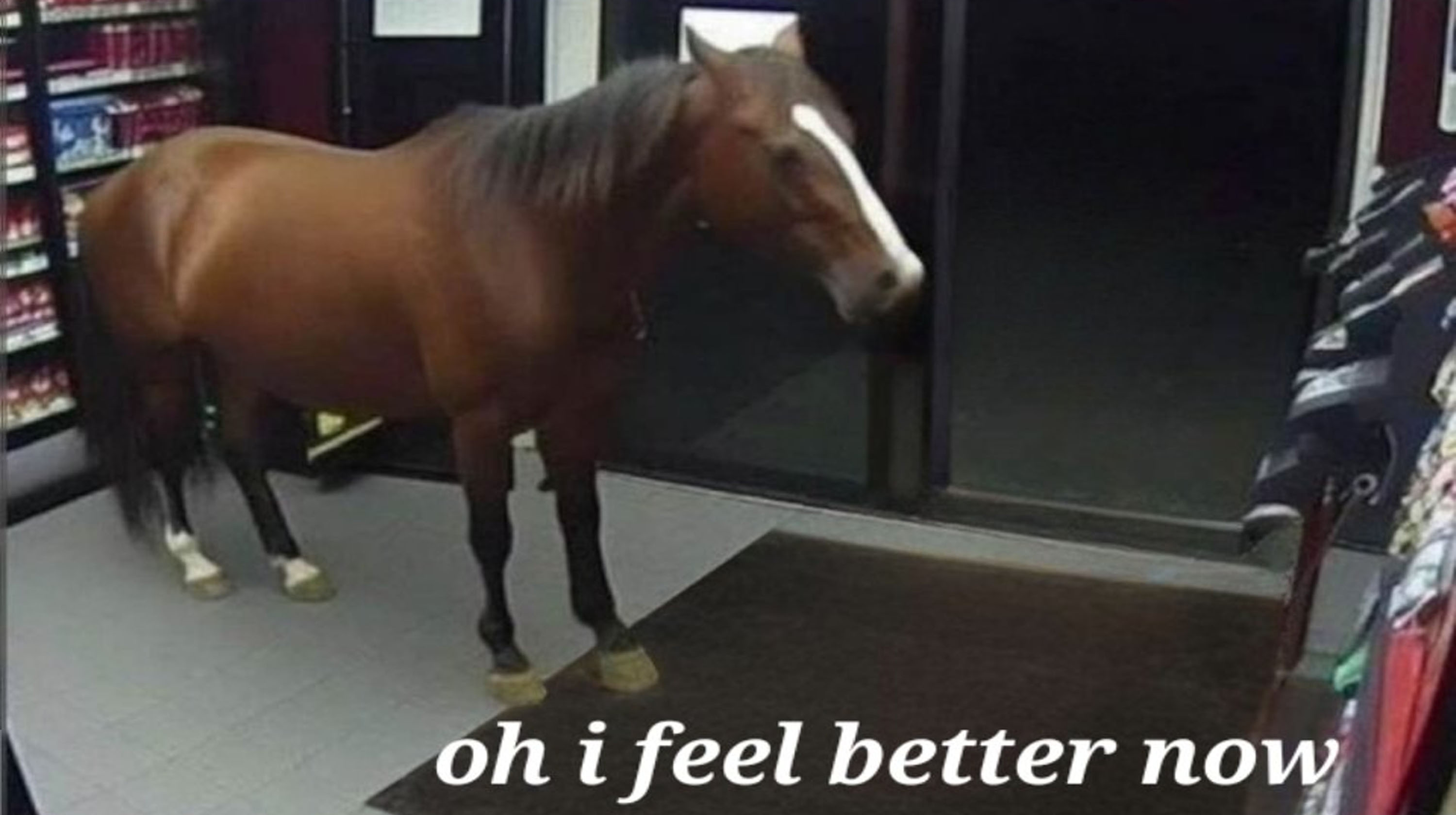 Why Are 'Yu-Gi-Oh Players' Posting An AI Image Of A Horse Throwing Up? The Pushb... | Know Your Meme