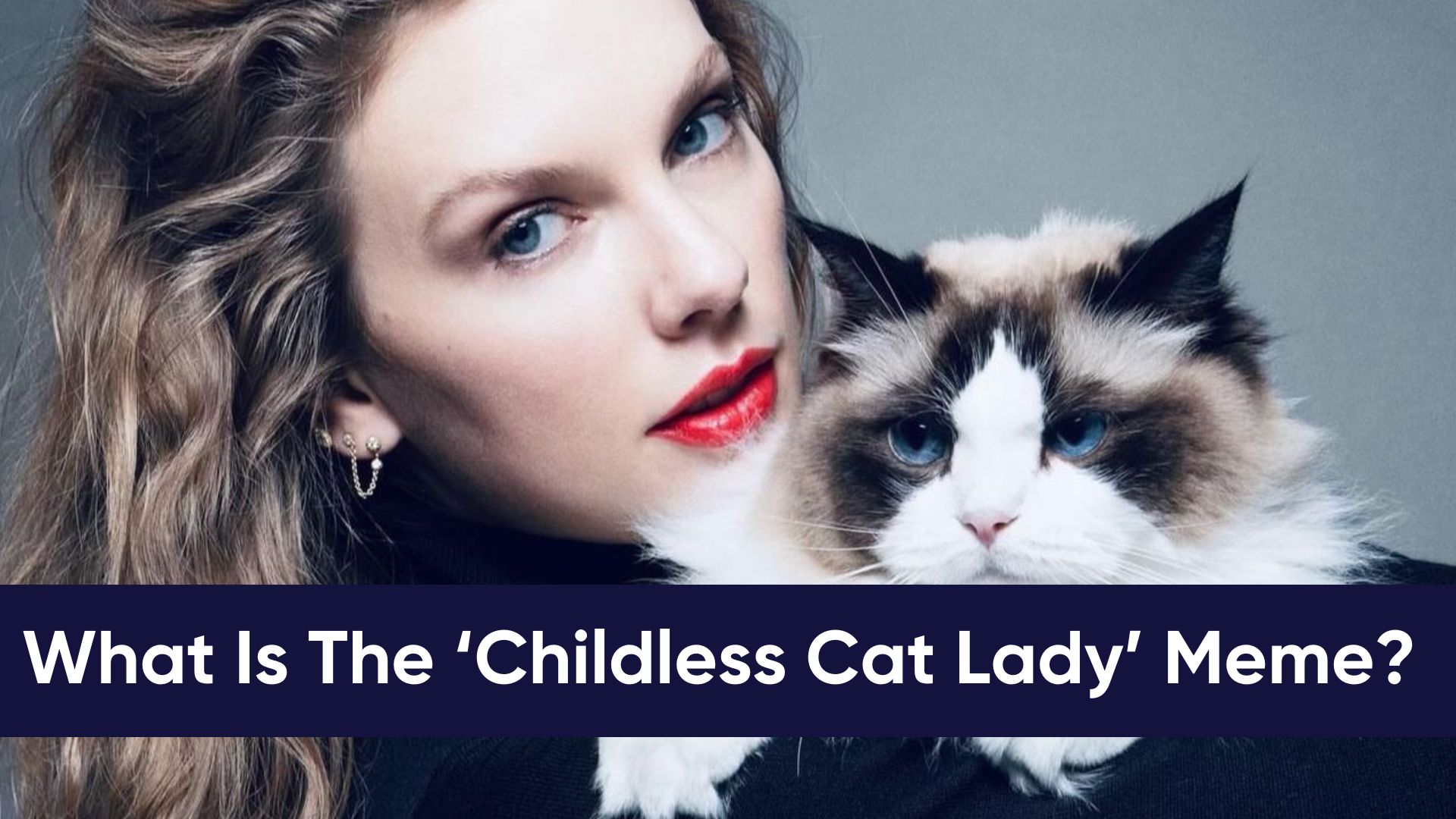 Why Did Taylor Swift Sign 'Childless Cat Lady' On Her Endorsement Post ...