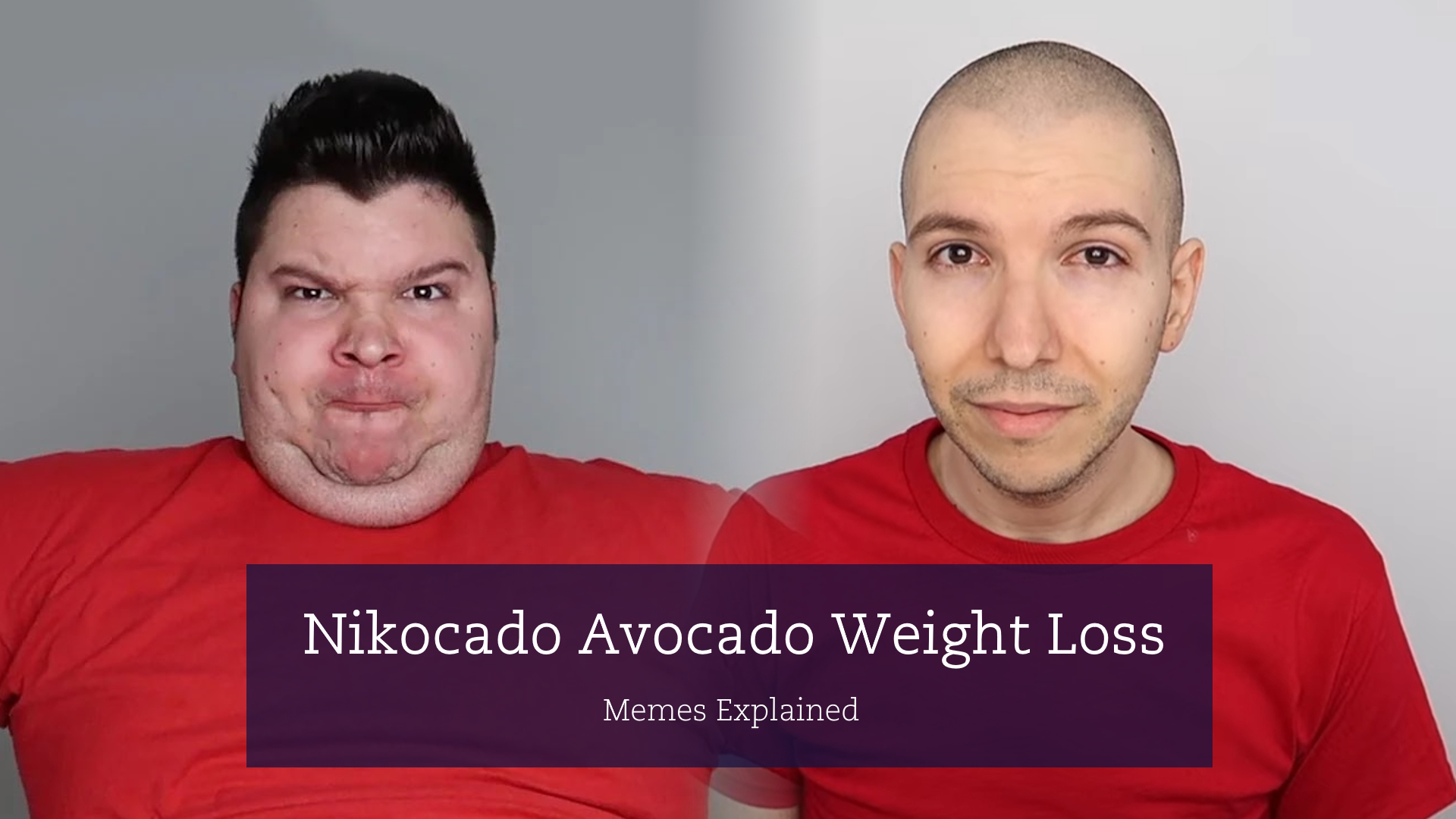 Was Nikocado Avocado Really The Mastermind All This Time? Memes About ...
