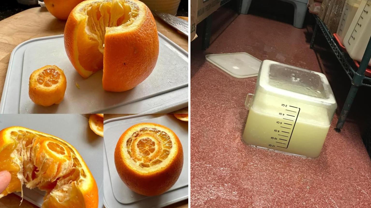 25 Mildly Interesting Moments From Redditors Around The World | Know ...