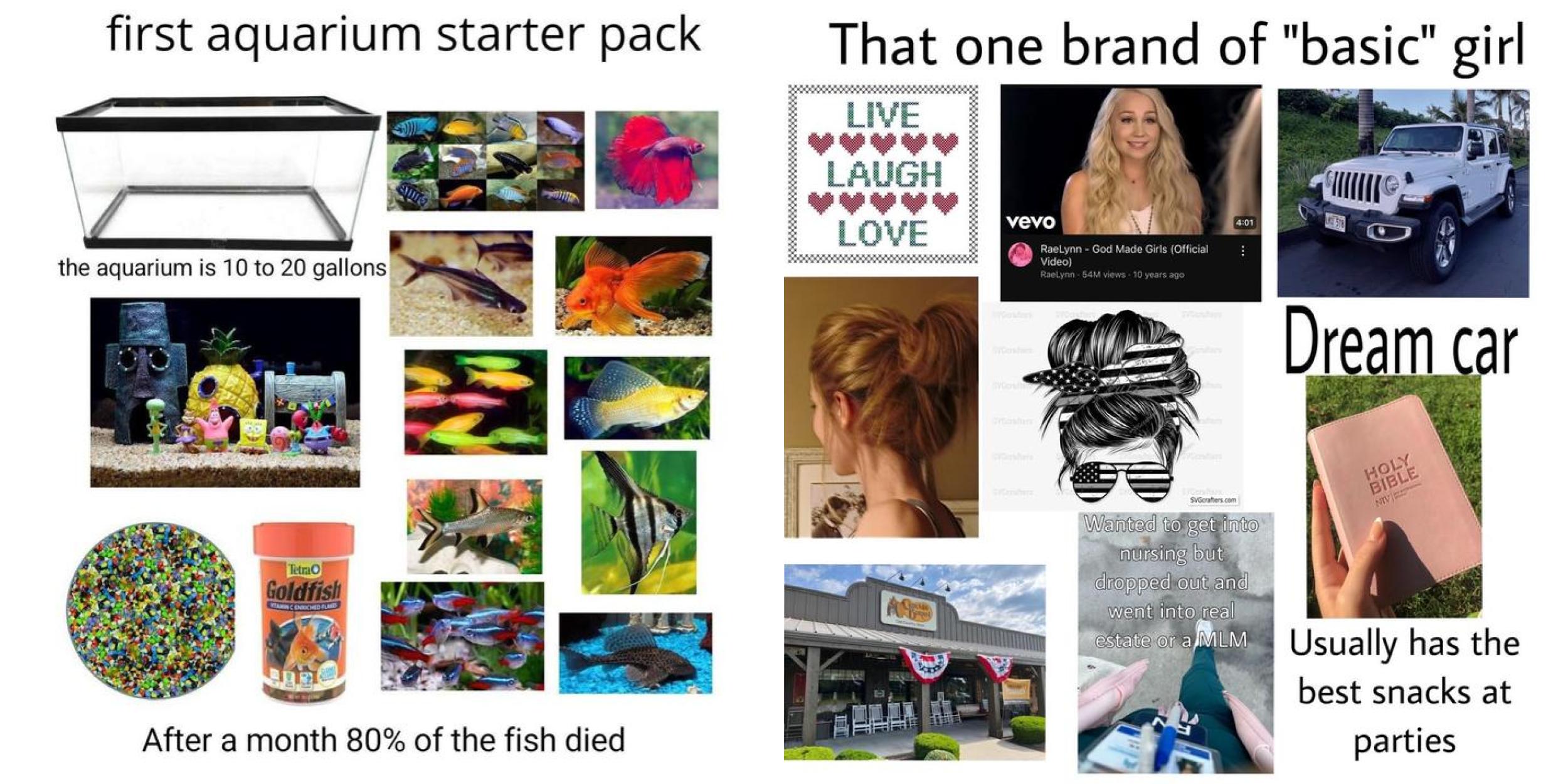 25 Highly Accurate 'Starter Packs' Calling Everyone Out | Know Your Meme
