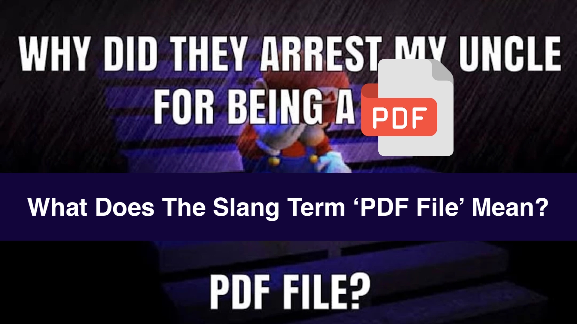 What Does 'PDF File' Mean On TikTok? The Slang Version Of 'PDF File ...