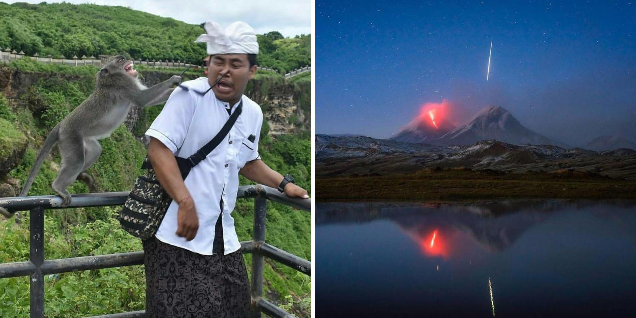 25 Images Captured At Just The Right Moment | Know Your Meme