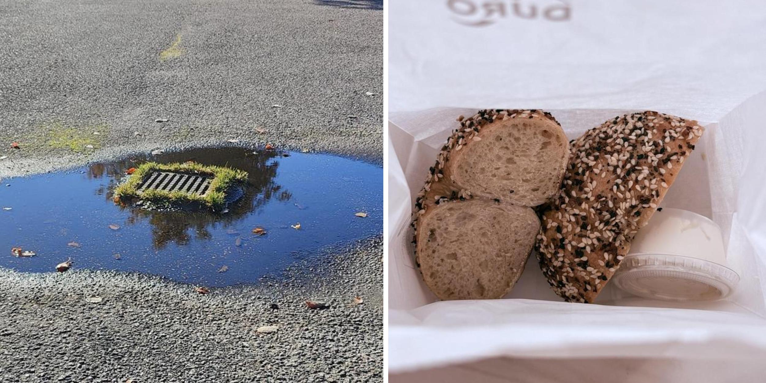 27 People Hilariously Failing At Their Simple Tasks | Know Your Meme