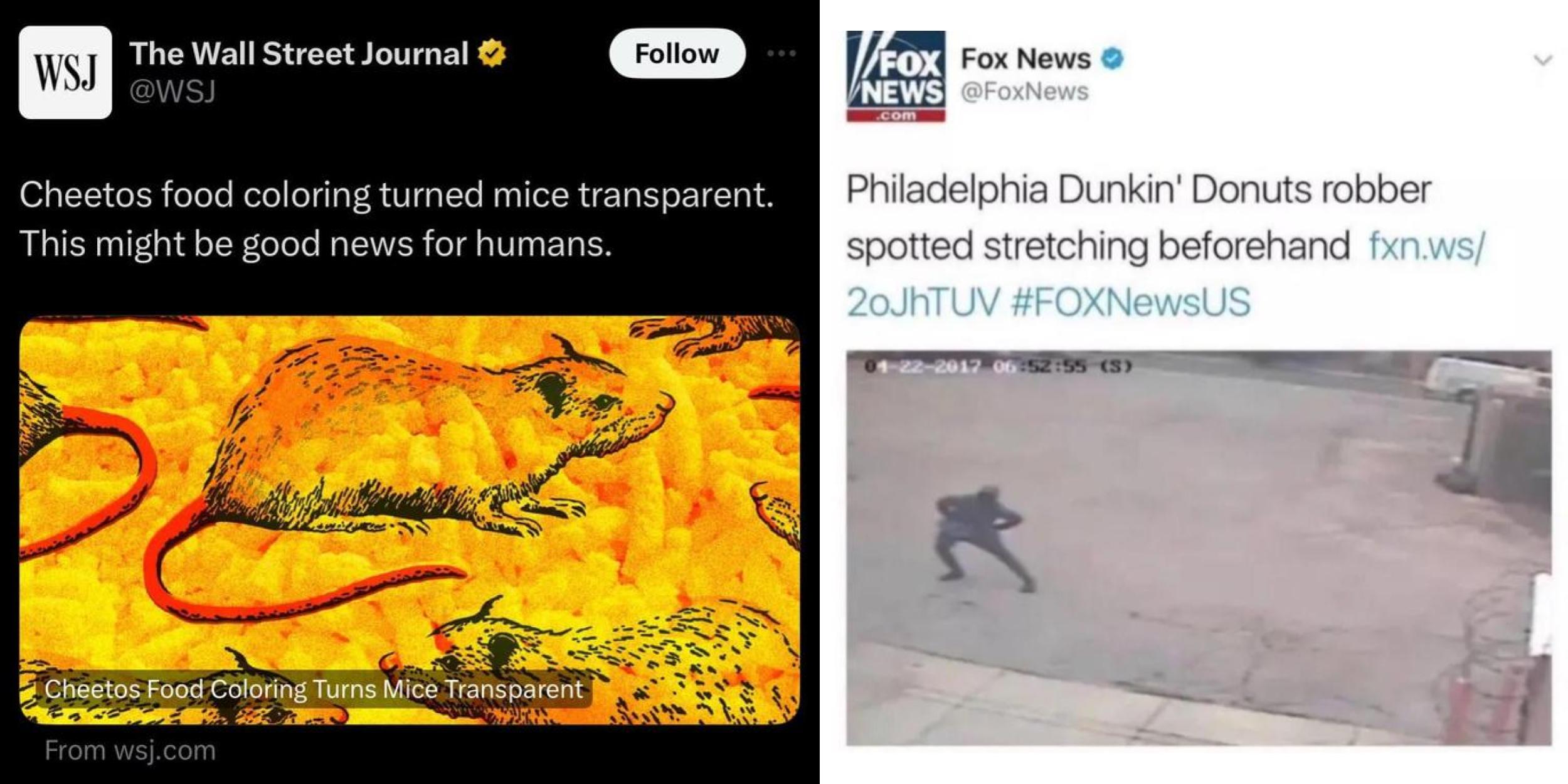 26 Gems From The Internet That Have Ascended Into Comedy Heaven | Know ...