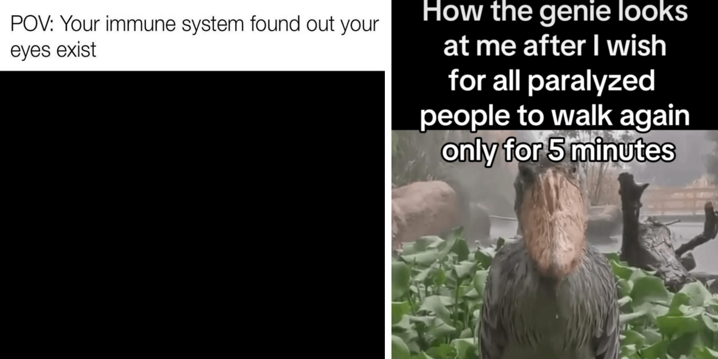 24 Dark Memes You Maybe Shouldn't Be Laughing About | Know Your Meme