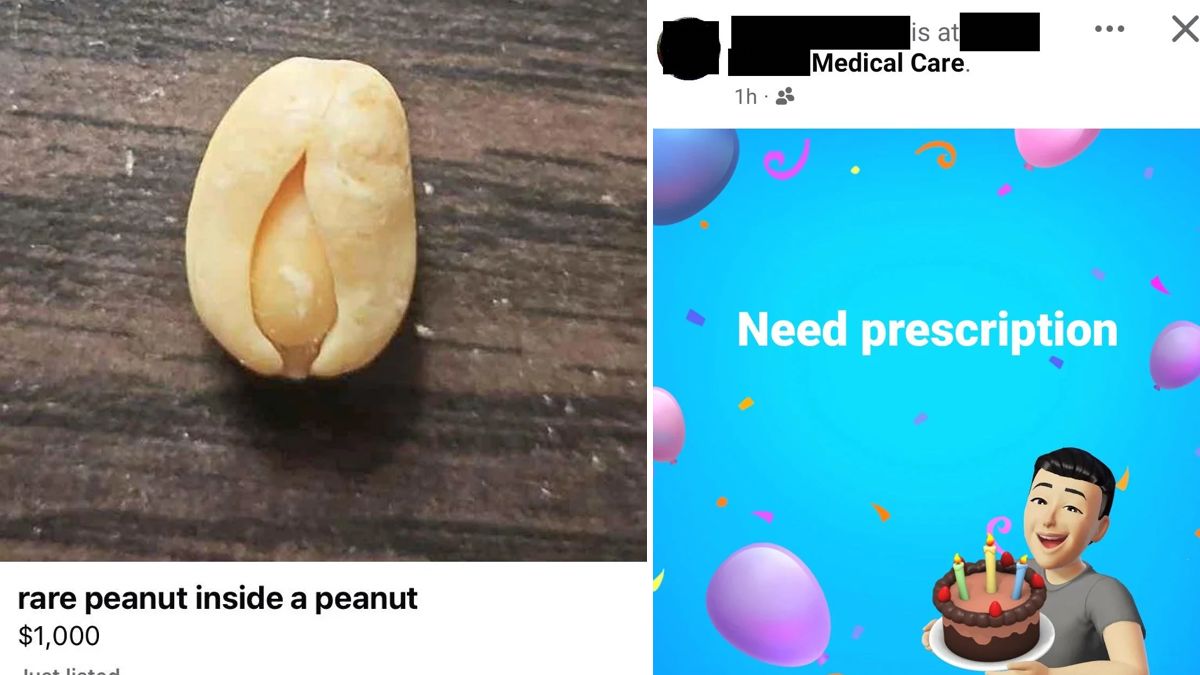 24 Fascinating Posts From The Not-So-Brightest Minds On The Internet ...