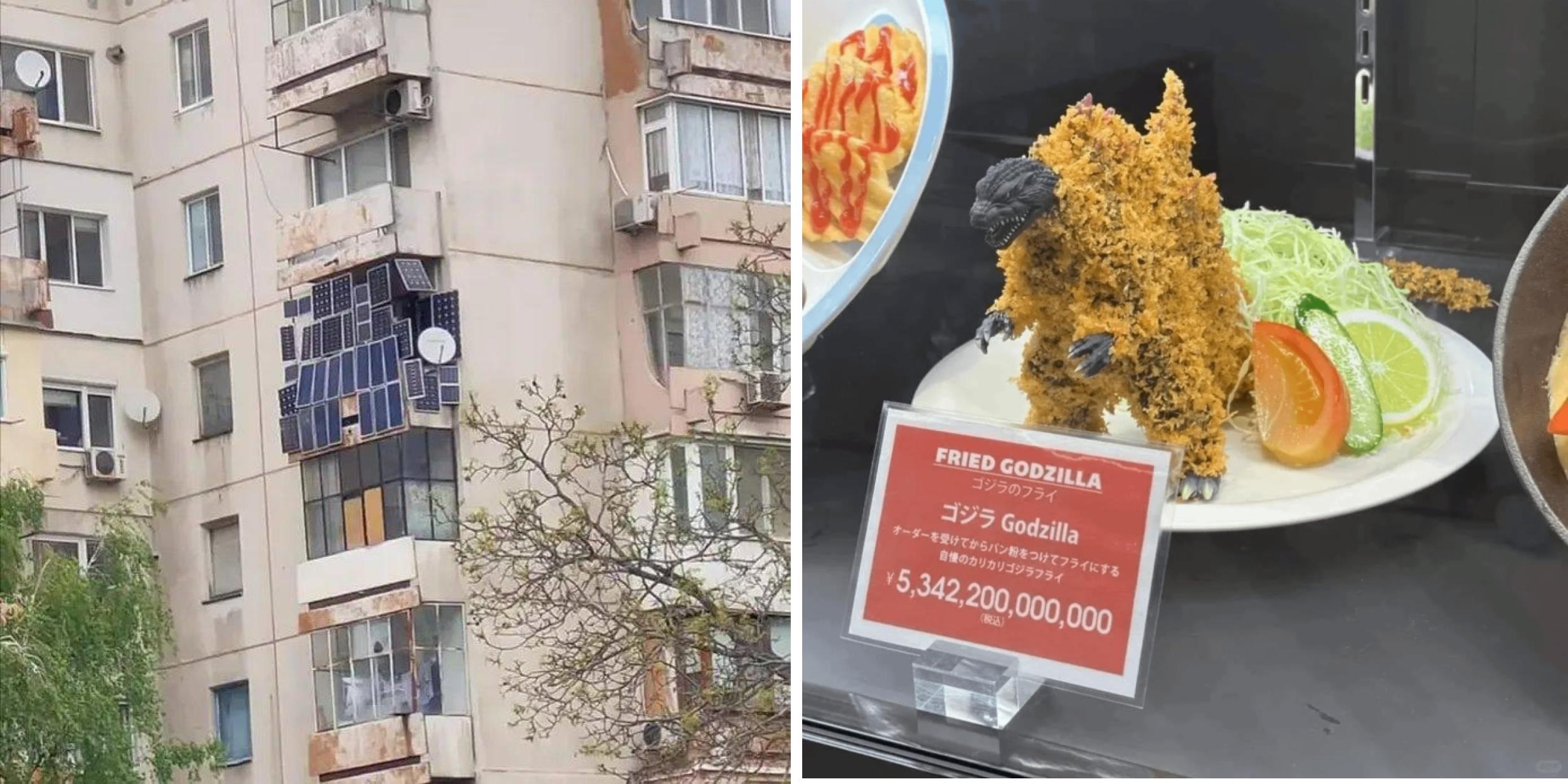 These Peculiar Images Shared By People Online Defy All Explanation ...