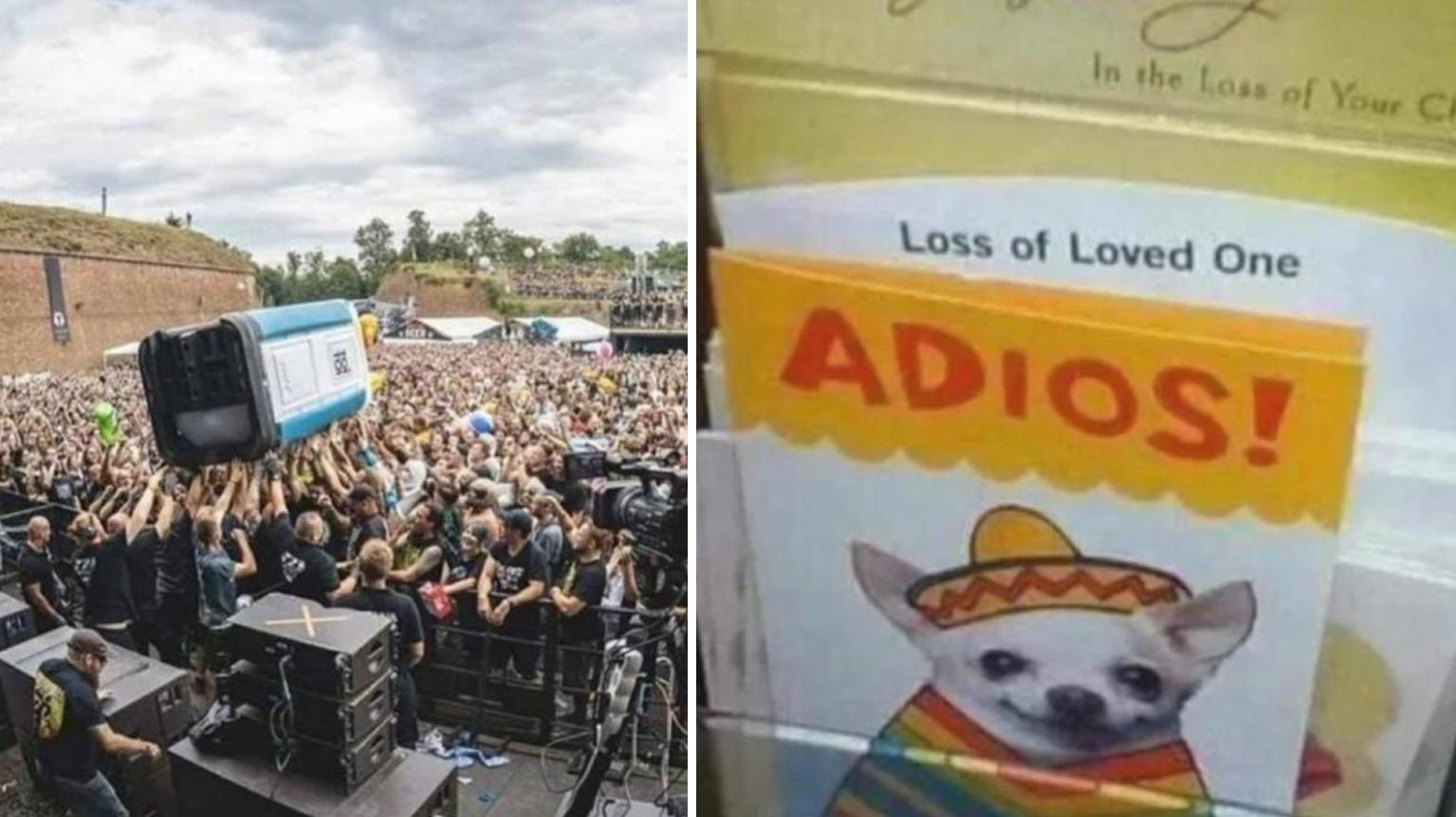 25 'Blursed' Images For A Weirder Weekend | Know Your Meme