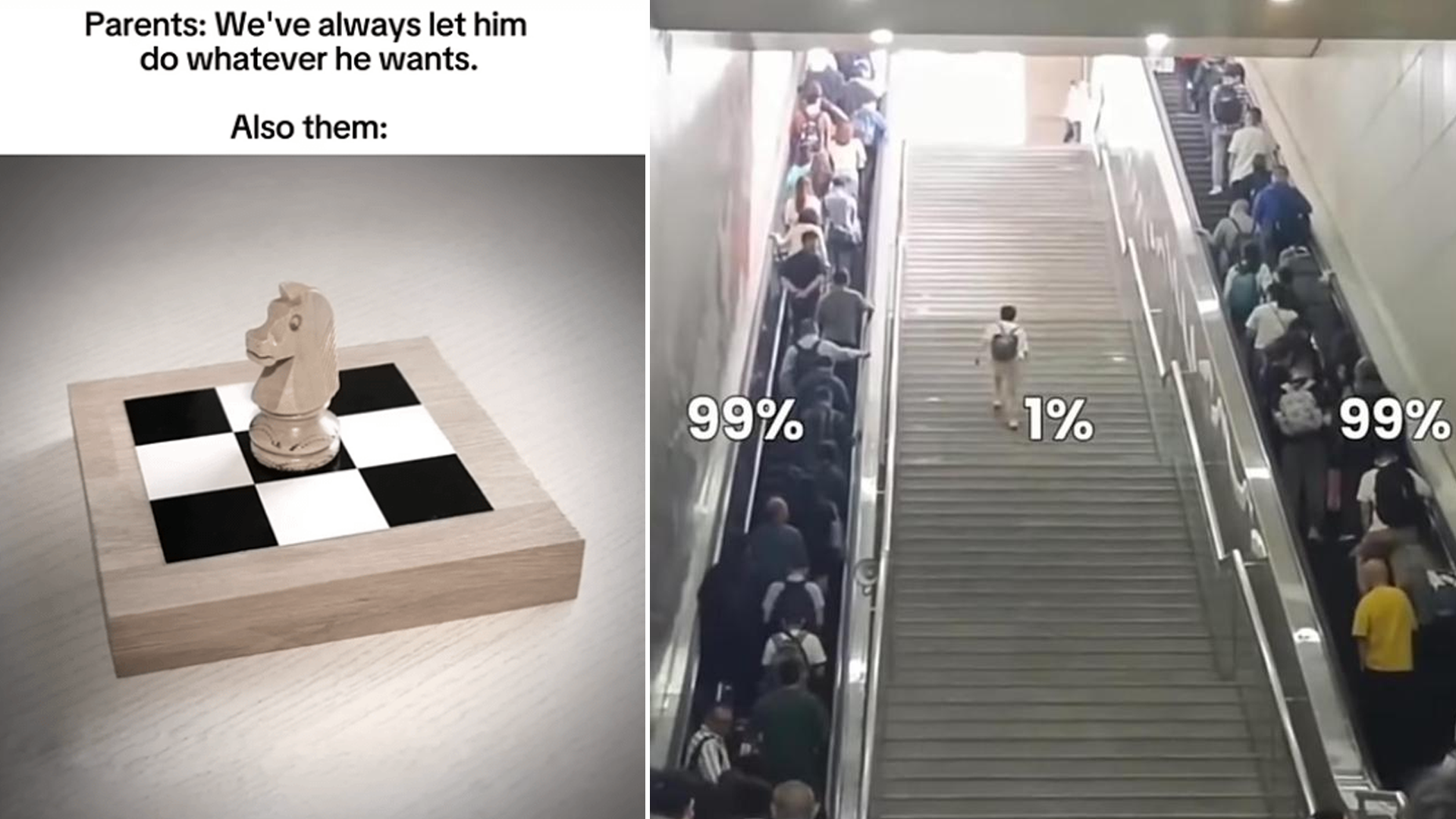 24 Silly Posts Showing How Dumb People Can Be, Even When They Think ...