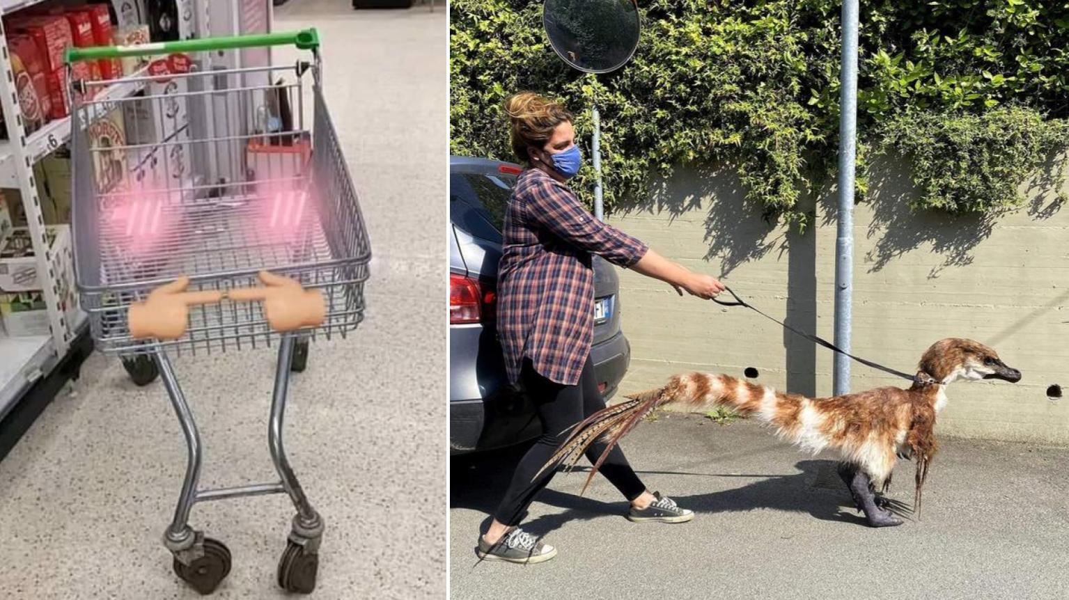 25 'Cursed' And 'Blessed' Images For A Mixed Bag Today | Know Your Meme