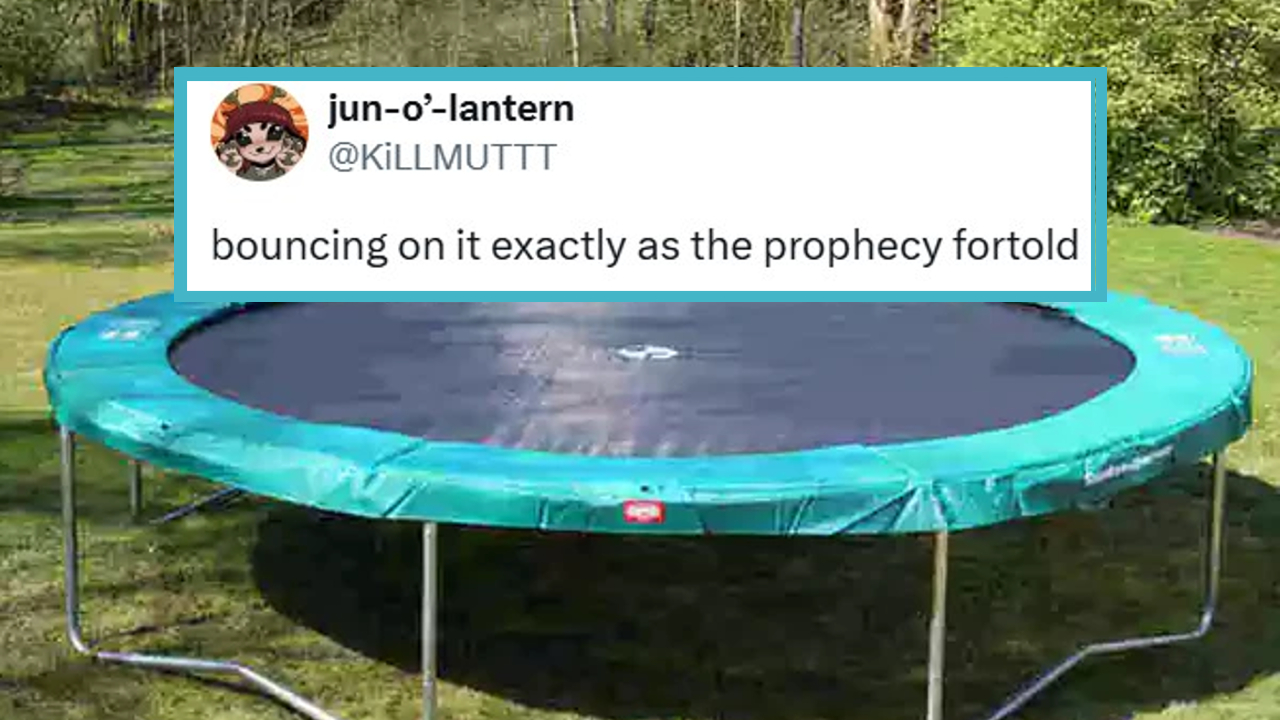 What Does 'Bouncing On It' Mean? The Viral Slang Term And Twitter Memes ...