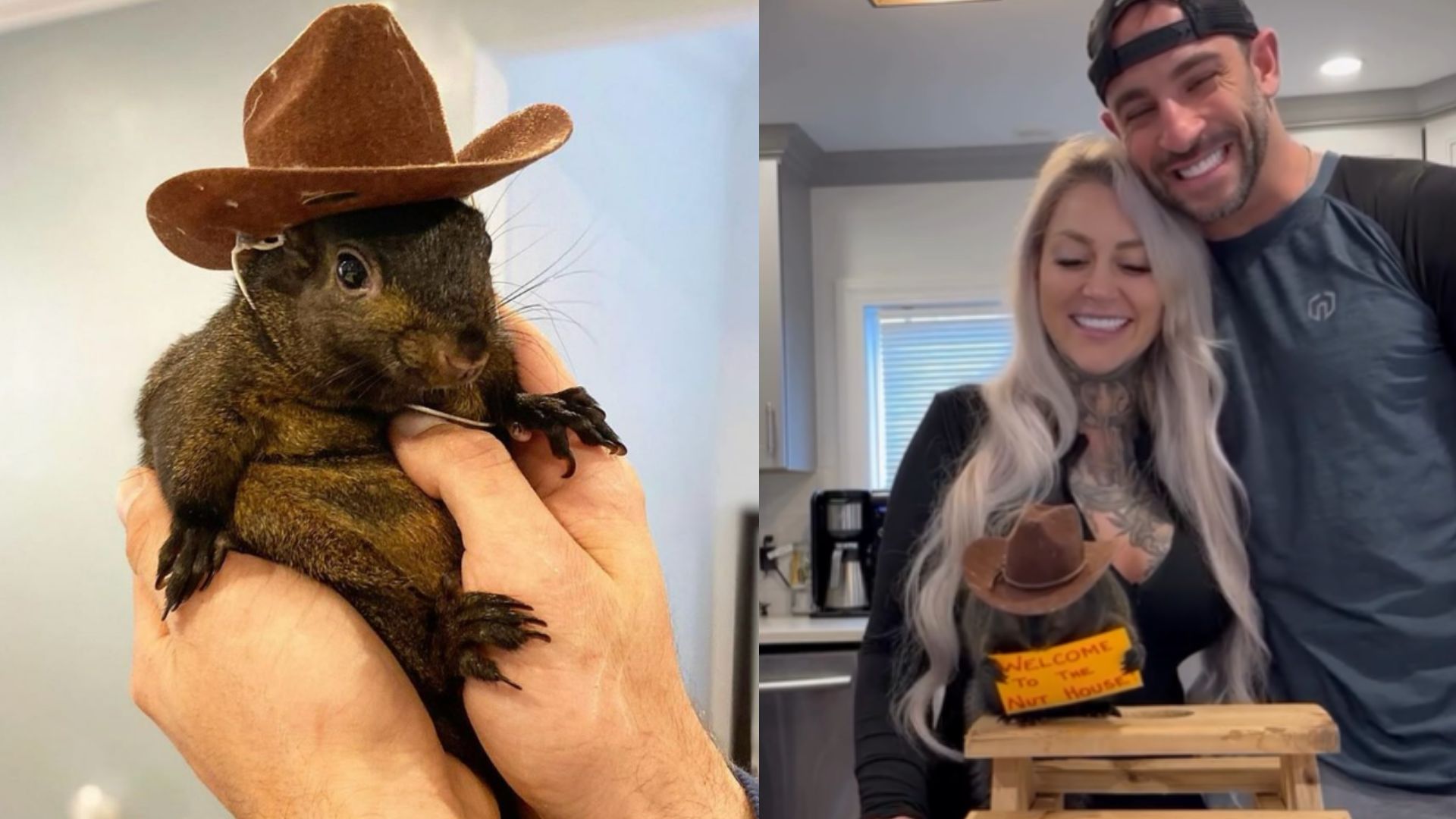 Mateus Lima - Journalist Profile - Intelligent Relations