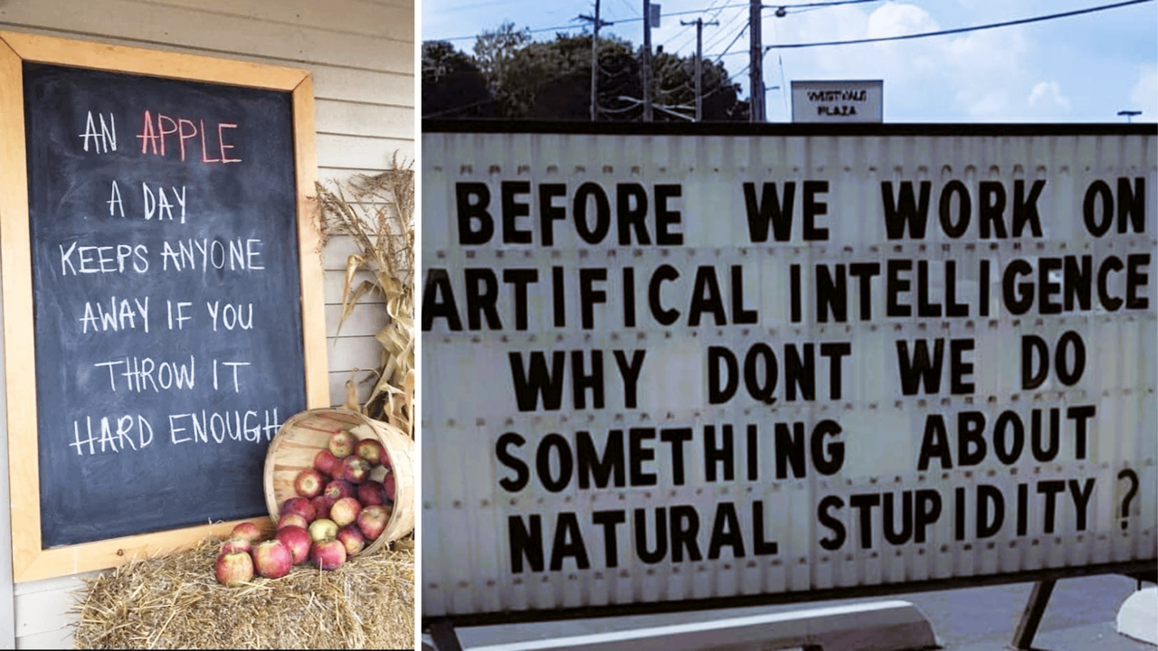 22 Silly Signs That Will Make You Admire The Humorous Among Us | Know ...