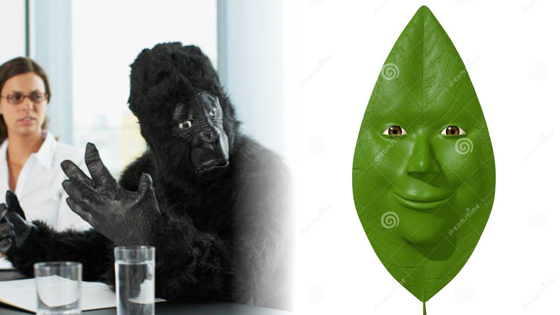 24 Uncanny Stock Images That Feel Like A Fever Dream | Know Your Meme