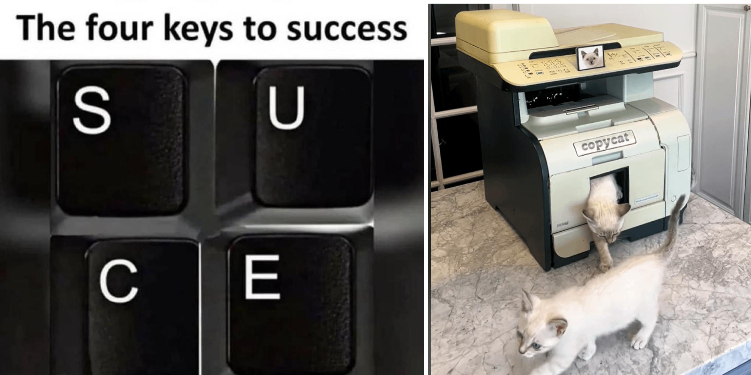 26 Technically True Statements No One Can Argue With | Know Your Meme