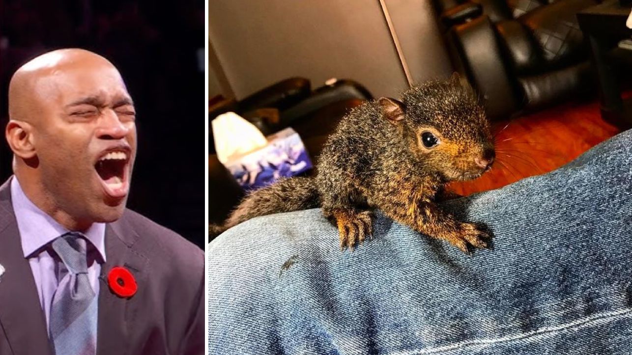 The Weekly Meme Roundup: Peanut The Squirrel, Knee Surgery, Election ...